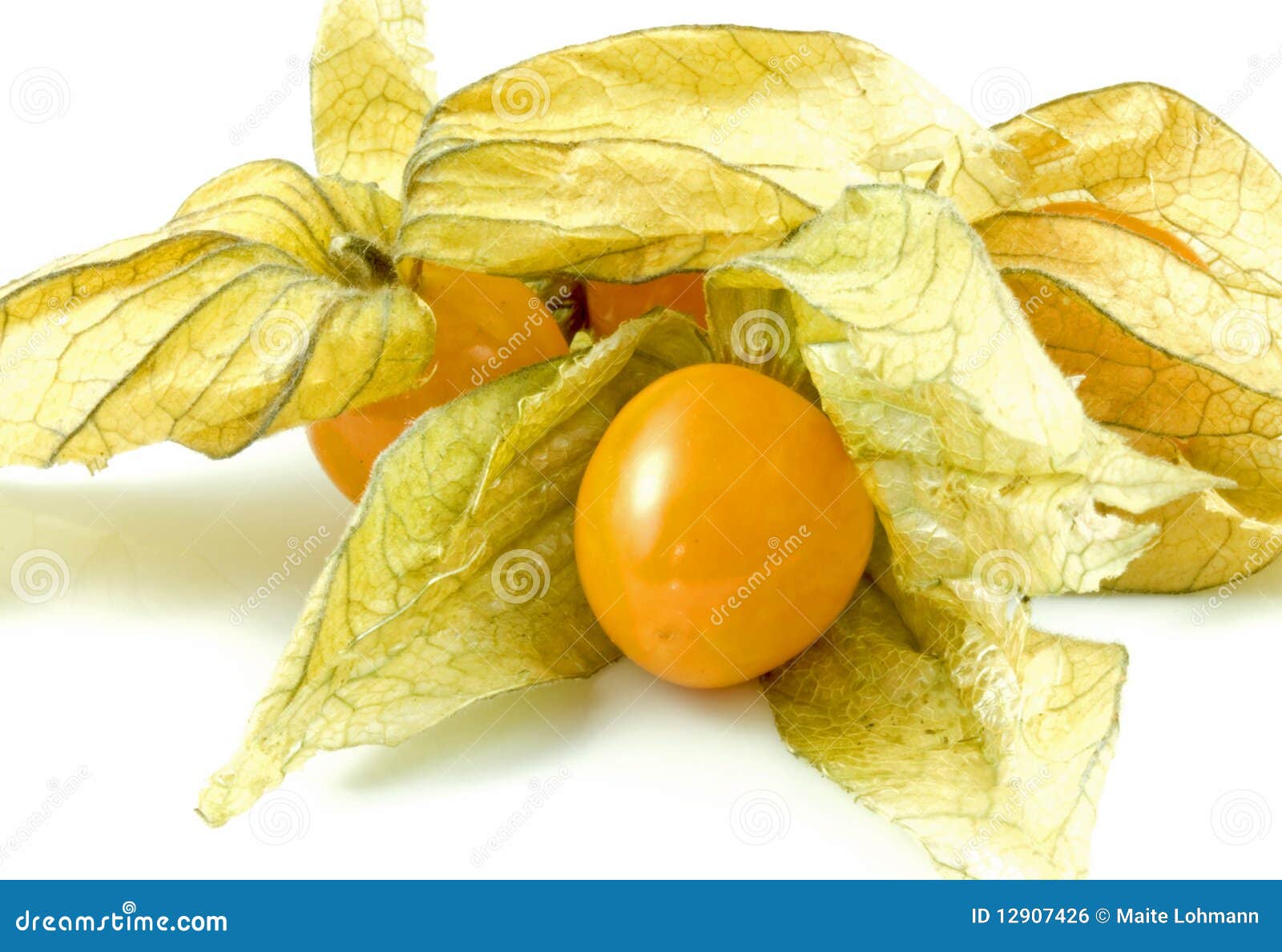 Physalis photo stock. Image du nature, doux, fruité, juteux - 12907426
