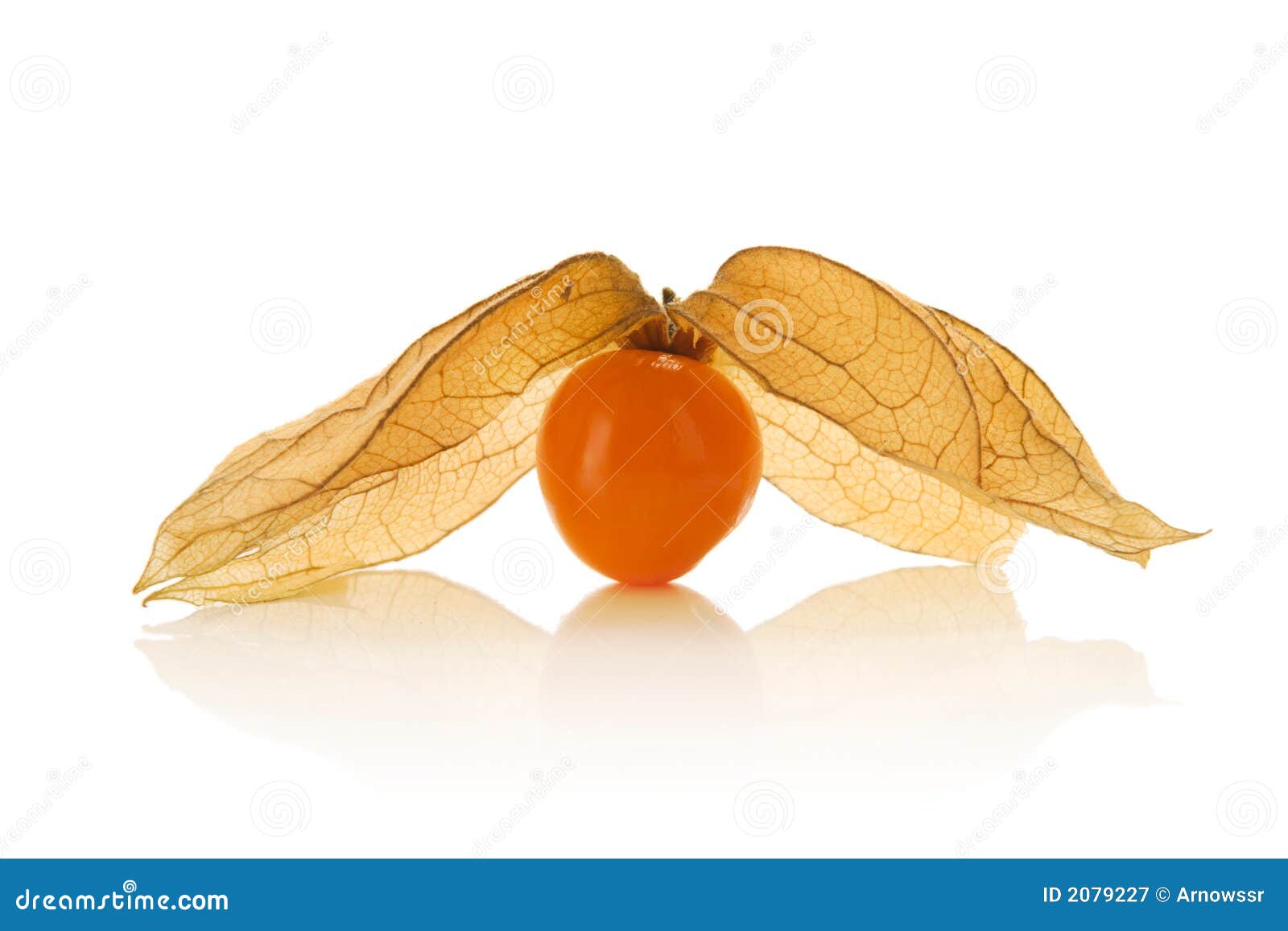 Physalis stock image. Image of edible, peruvian, food - 2079227