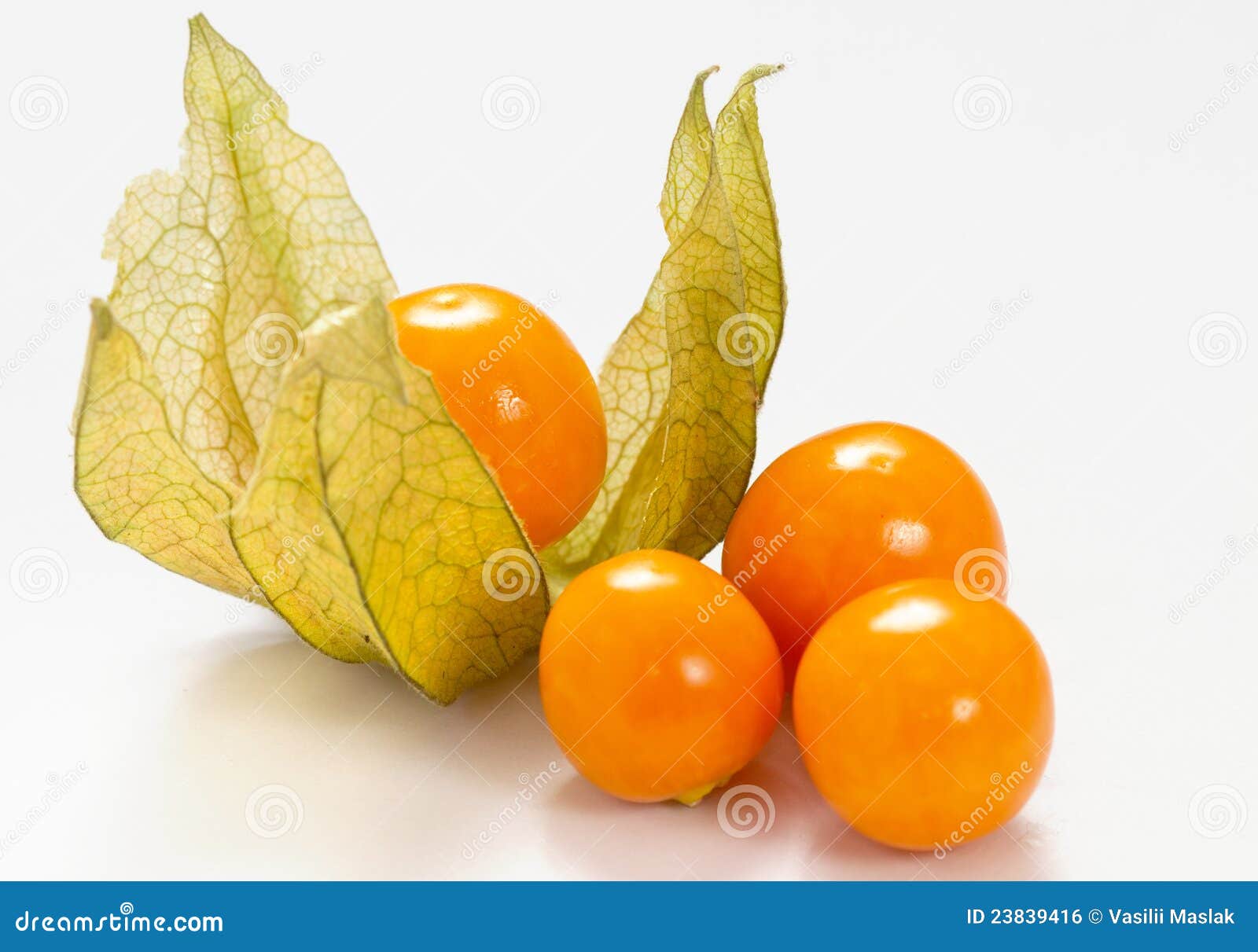 Physalis stock photo. Image of yellow, cape, plant, sweet - 23839416