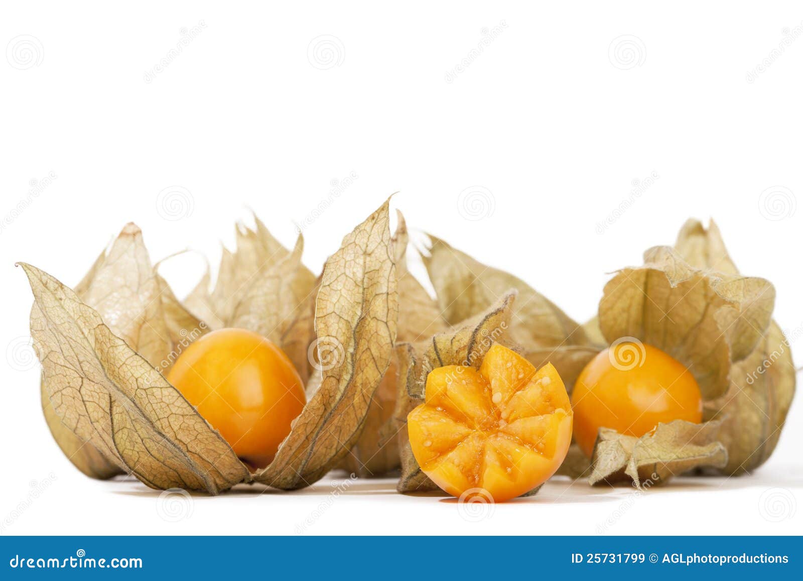 Physalis stock image. Image of botanical, chinese, dessert - 25731799