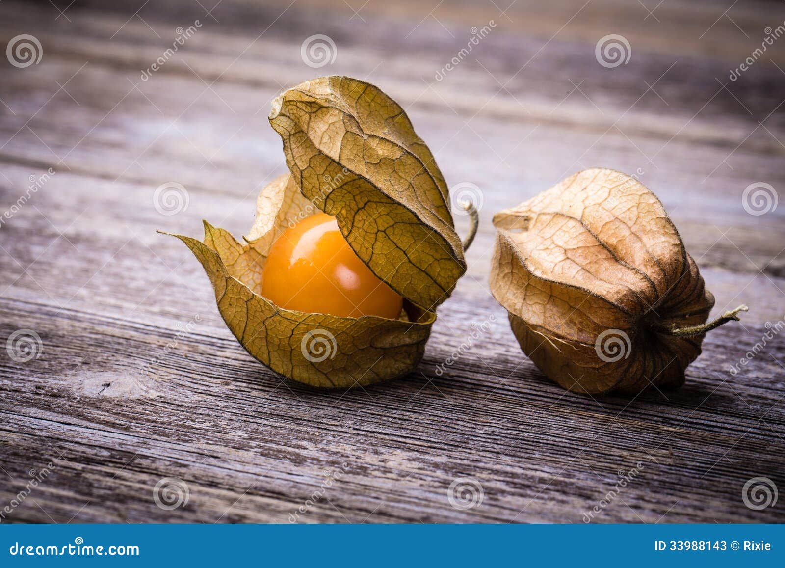 Physalis stockbild. Bild von laterne, nahaufnahme, frucht - 33988143