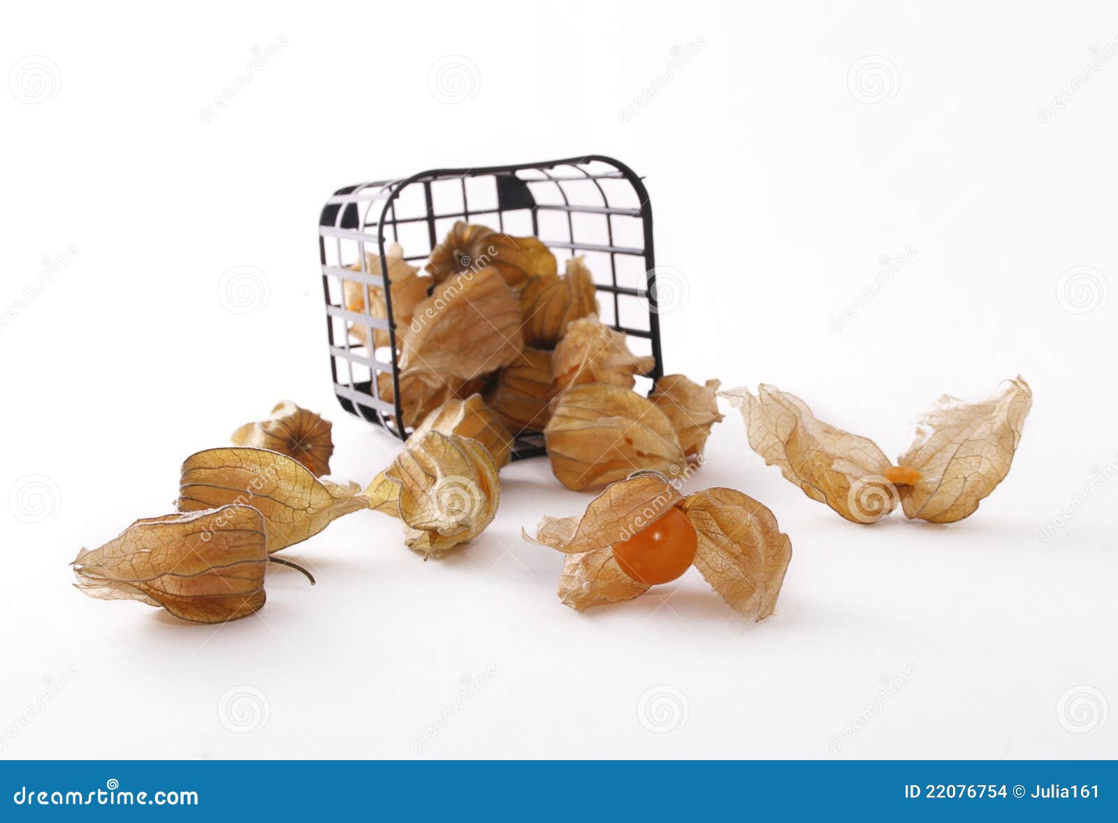 Physalis box stock photo. Image of pack, leaves, backgroung - 22076754