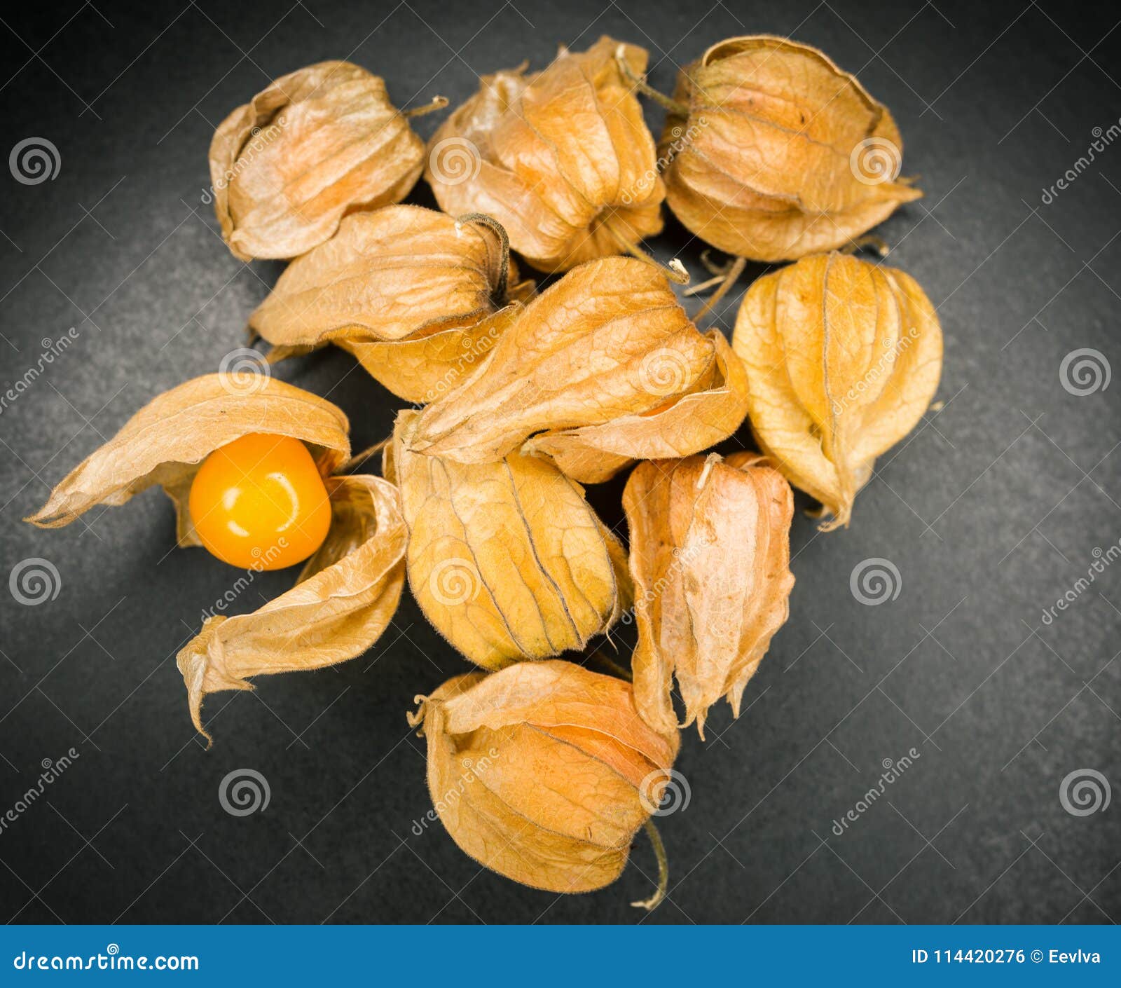 Physalis Cape gooseberry. stock photo. Image of head - 114420276