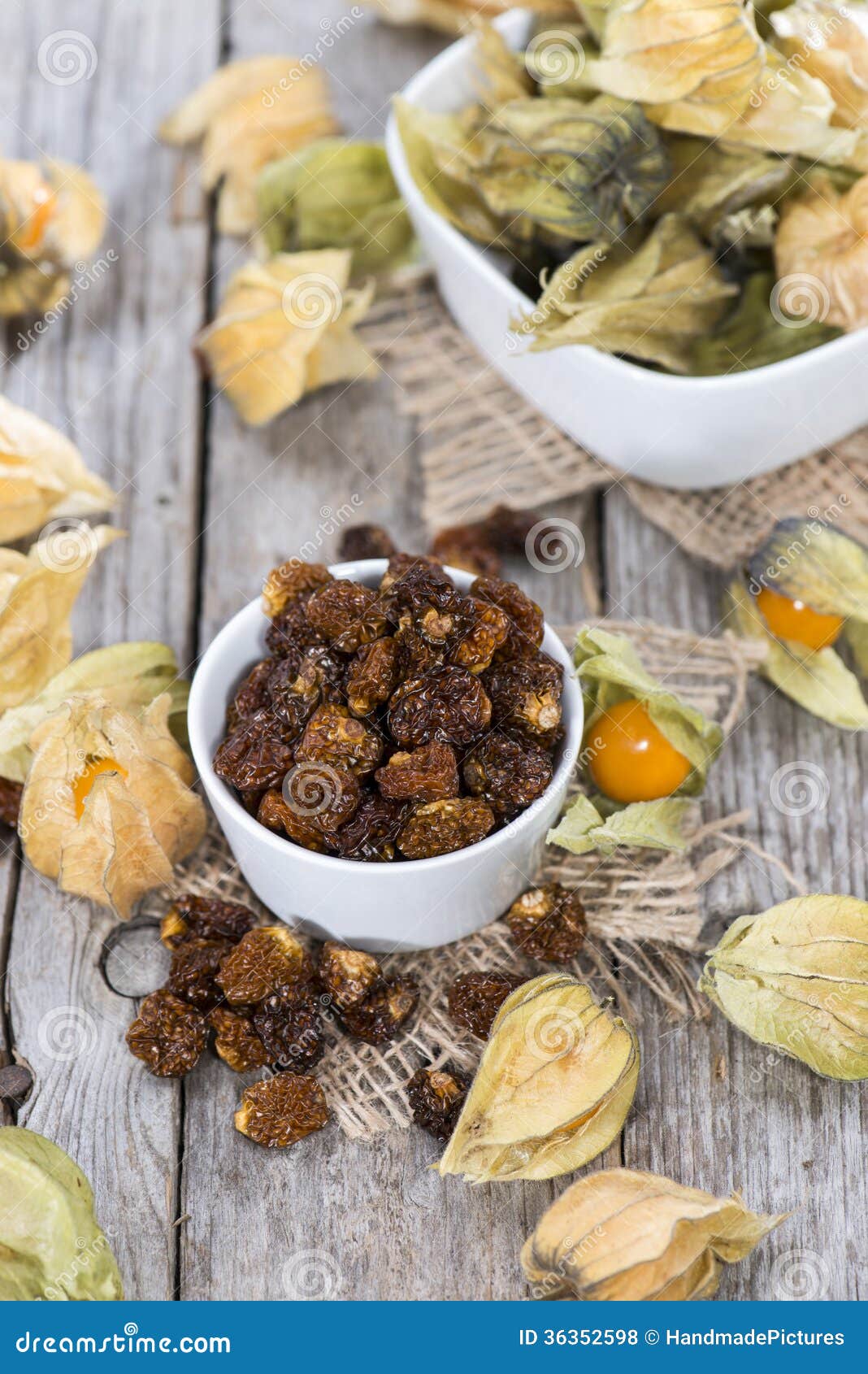 Physalis (dried) stock photo. Image of natural, close - 36352598