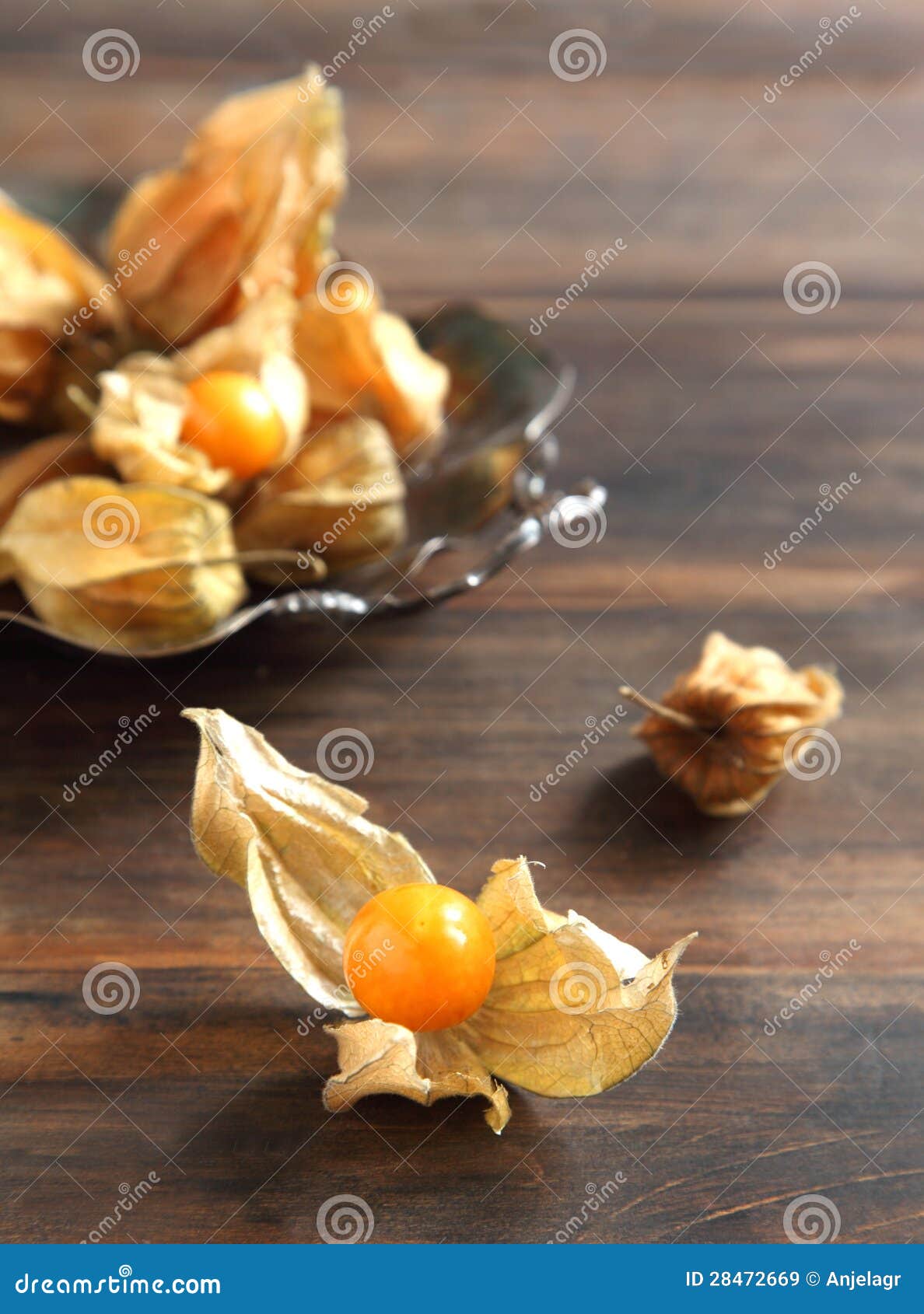 Physalis Fruit (Physalis Peruviana) Also Called Cape Gooseberry, Uchuva ...