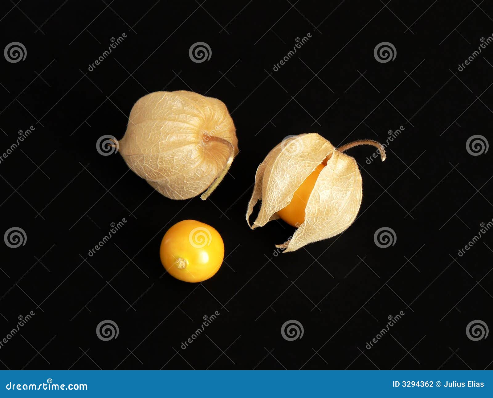 Physalis Fruit stock photo. Image of fall, herbal, ground - 3294362