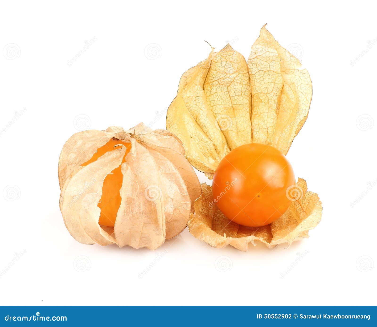 Physalis Fruit, Cape Berry Fruit Isolated on White Stock Photo - Image ...