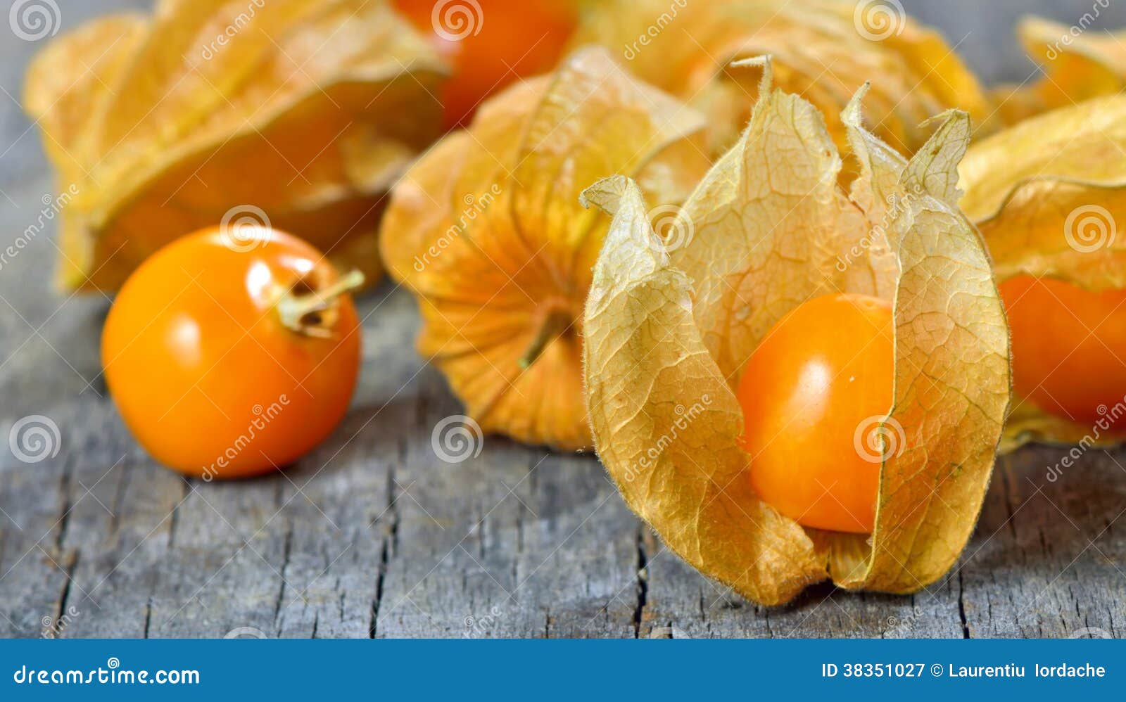 Physalis fruit stock image. Image of ground, closeup - 38351027