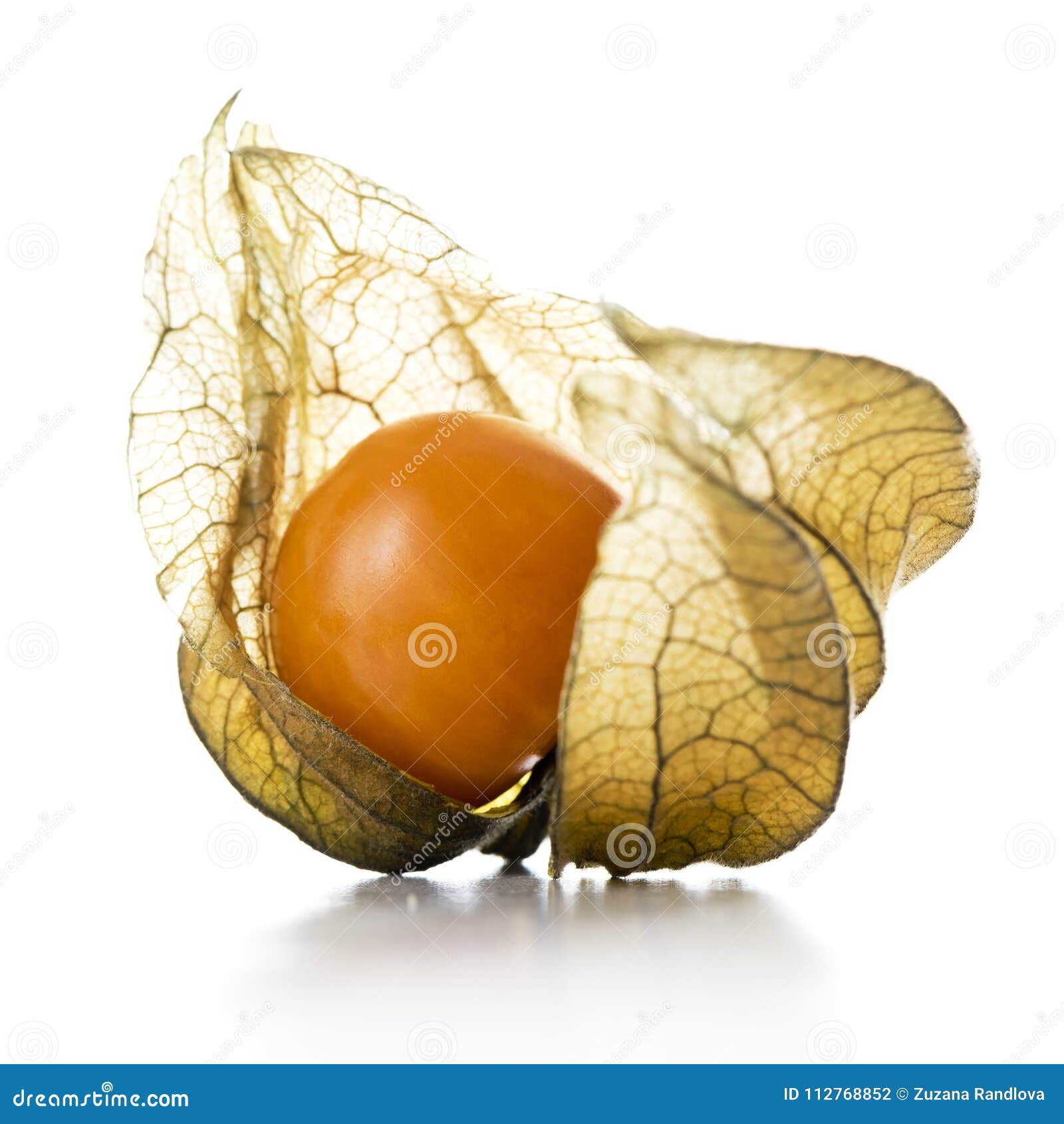 Physalis, Fruit with Papery Husk Stock Photo - Image of ingredient ...
