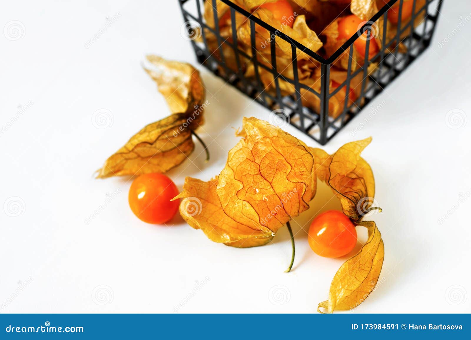 Physalis Fruits on Table and in Box Stock Image - Image of leaf ...