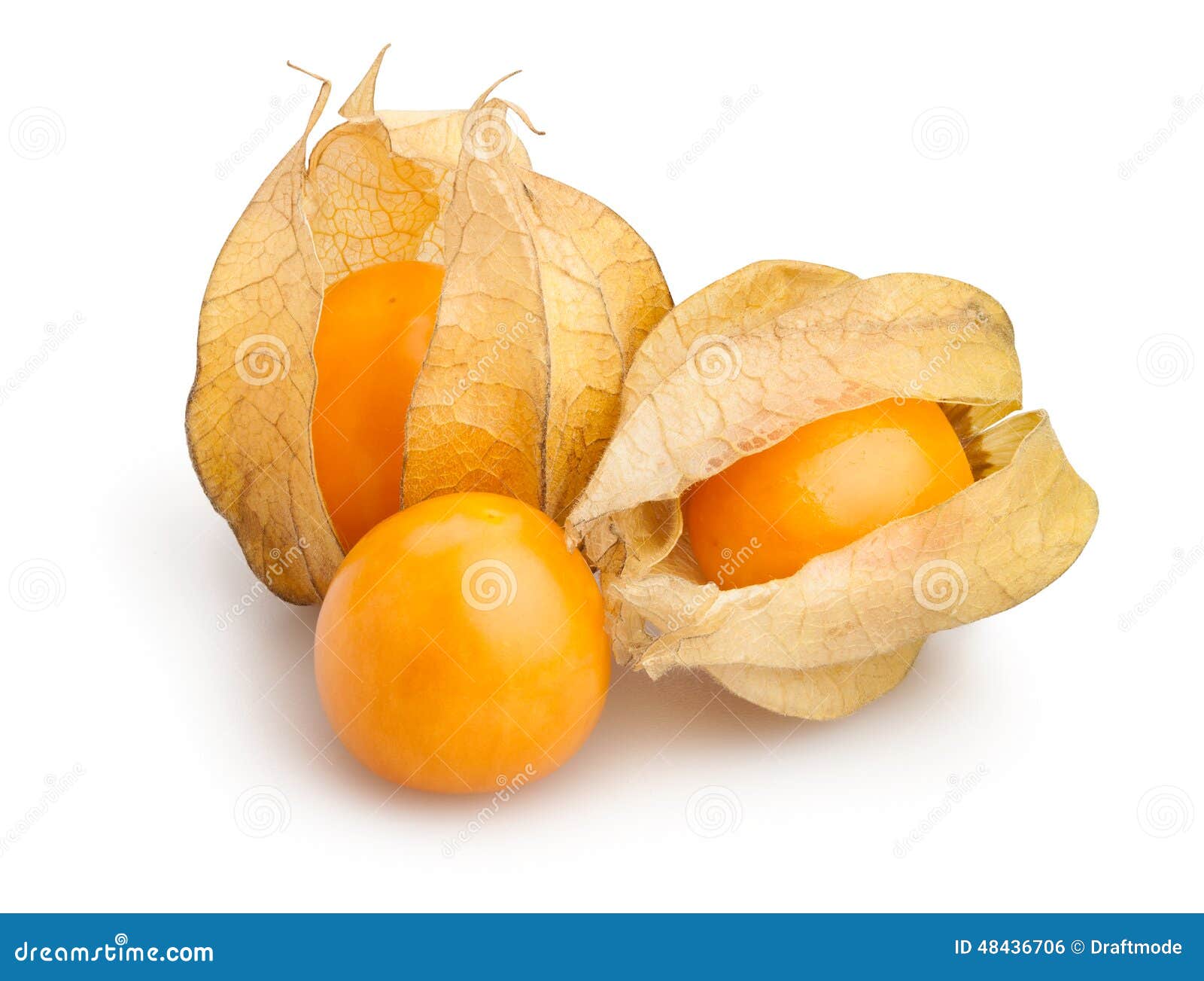 Physalis stock photo. Image of cherry, golden, health - 48436706