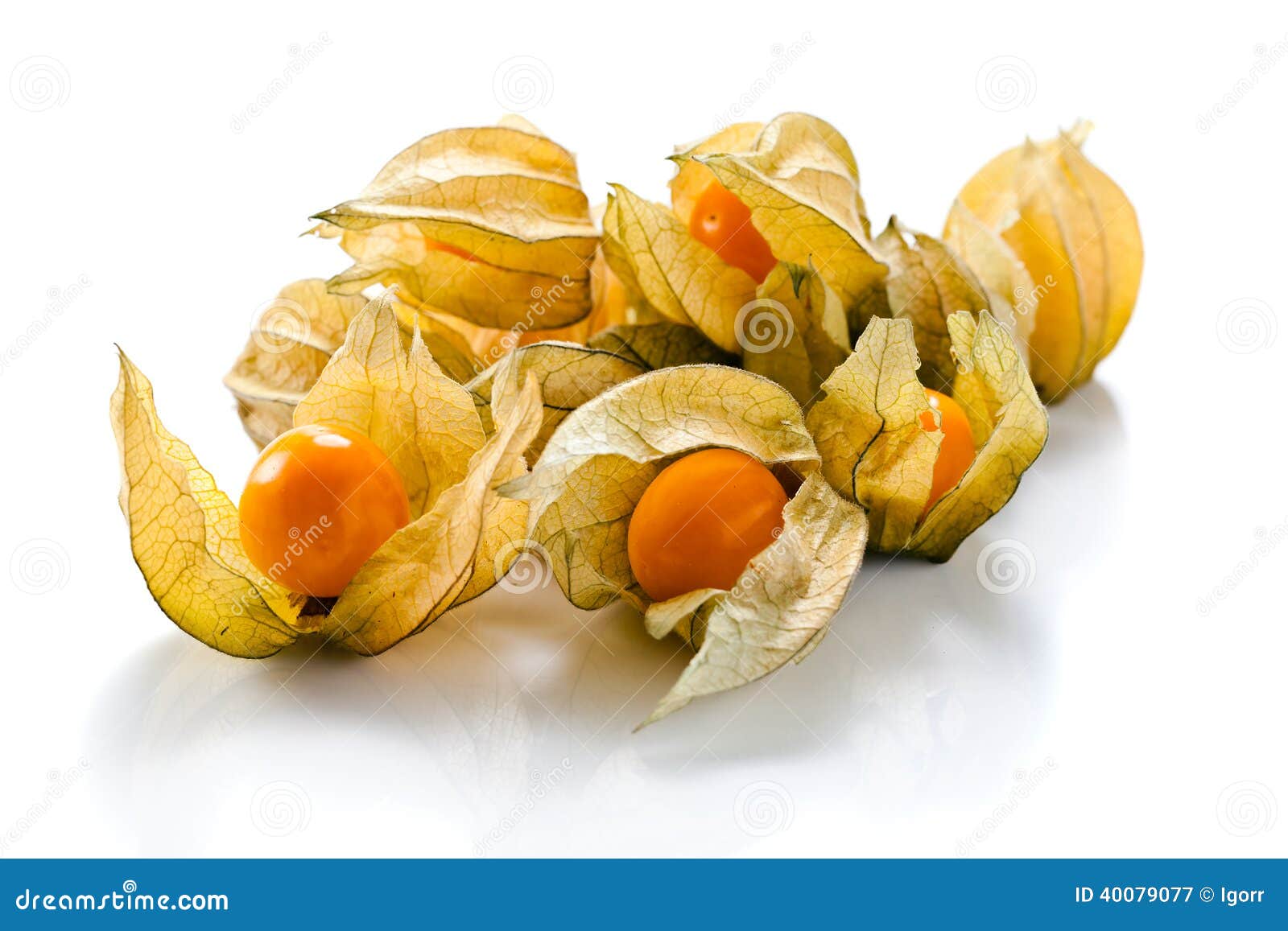 Physalis stock image. Image of studio, crop, sweet, eating - 40079077