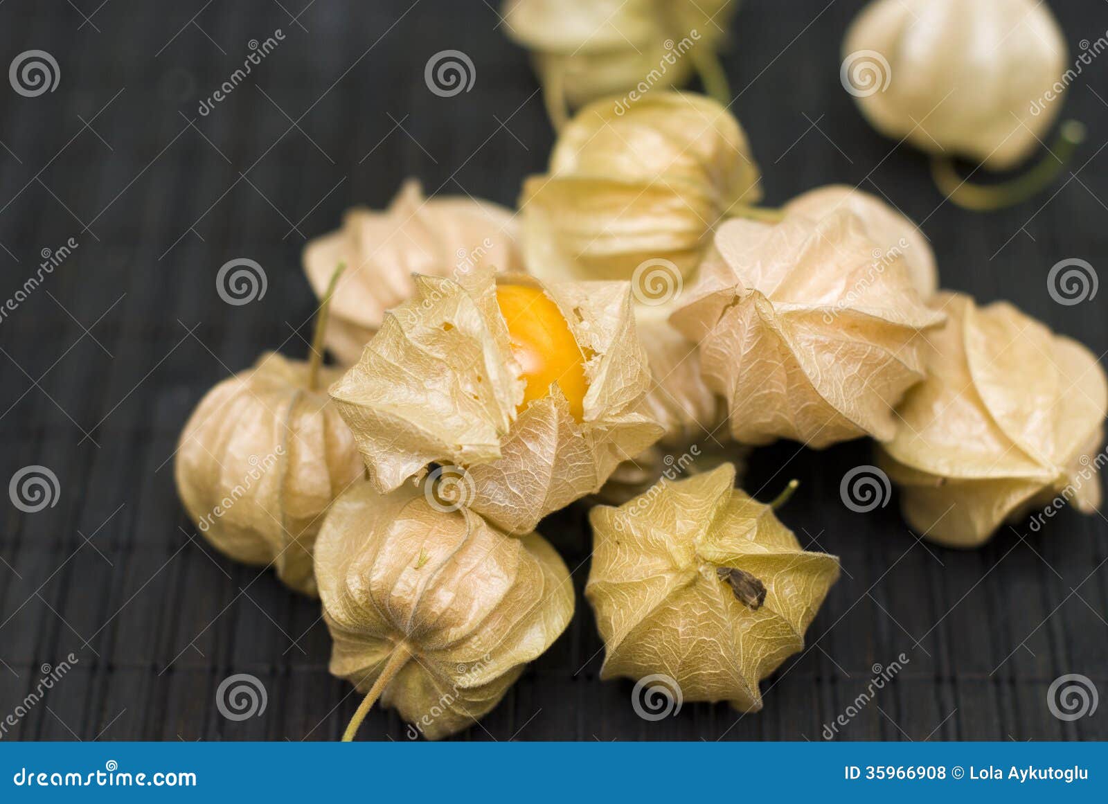 Physalis peruviana stockfoto. Bild von saftig, gesund - 35966908