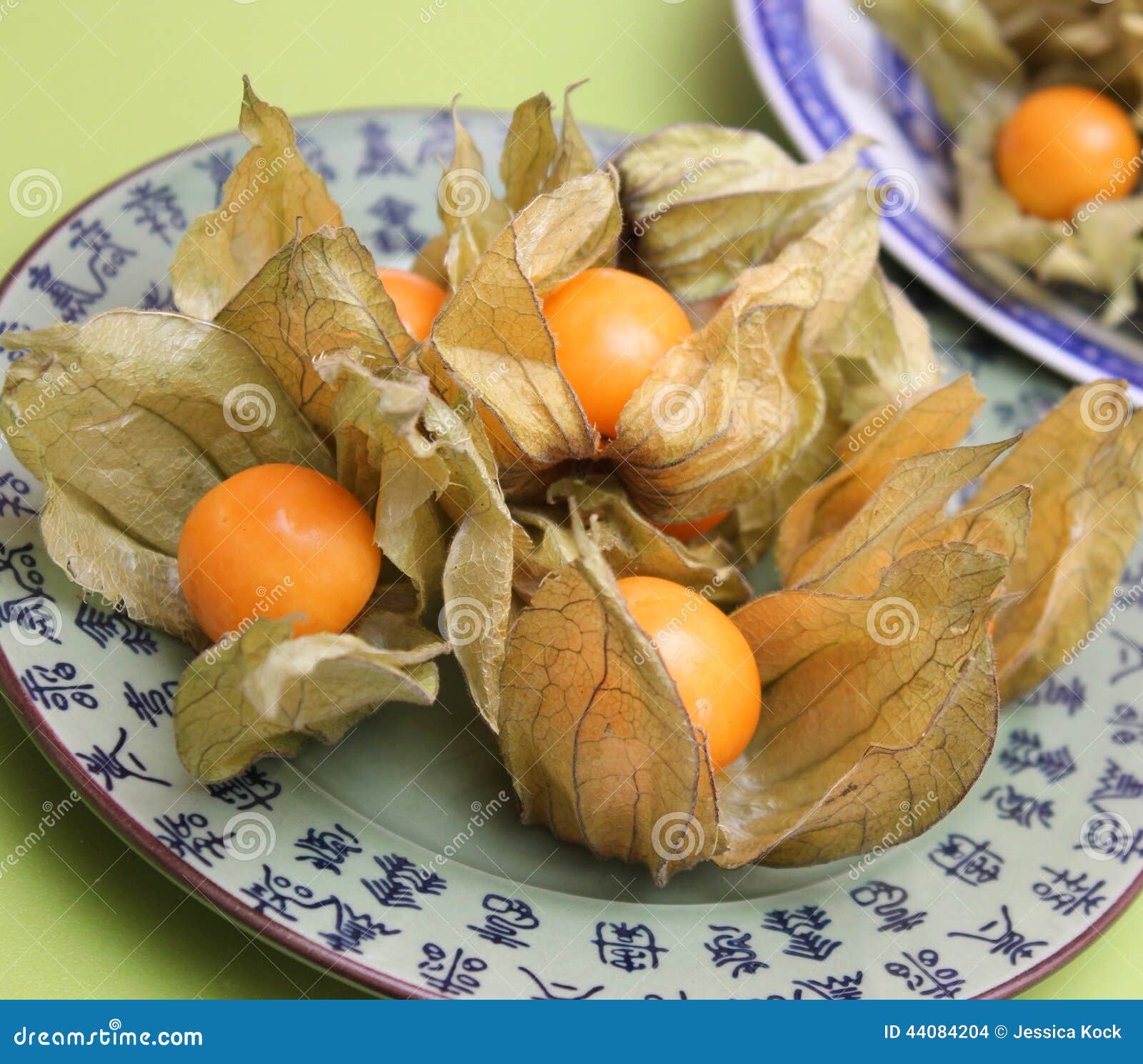 Physalis stock photo. Image of fruits, fresh, vitamins - 44084204