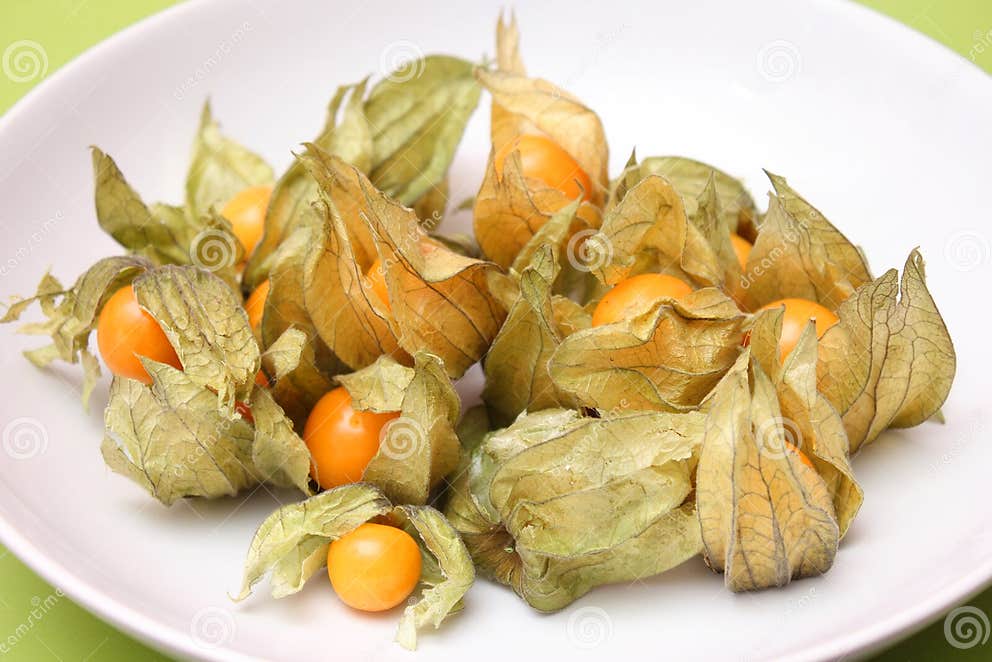 Physalis stock image. Image of physalis, fruits, exotic - 43640989