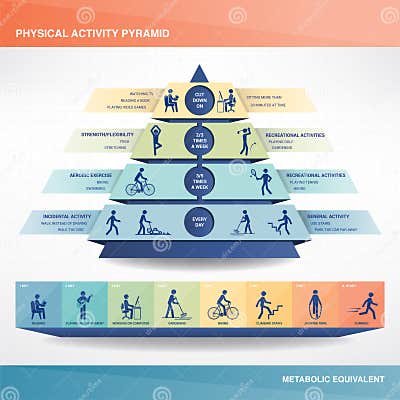 Physical activity pyramid stock vector. Illustration of flexibility ...