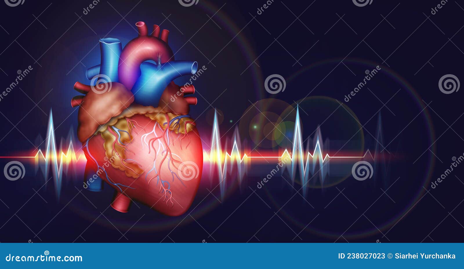 Physical Damage, Heart Attack, Stress. Heart Rate, Frequency, Heart ...