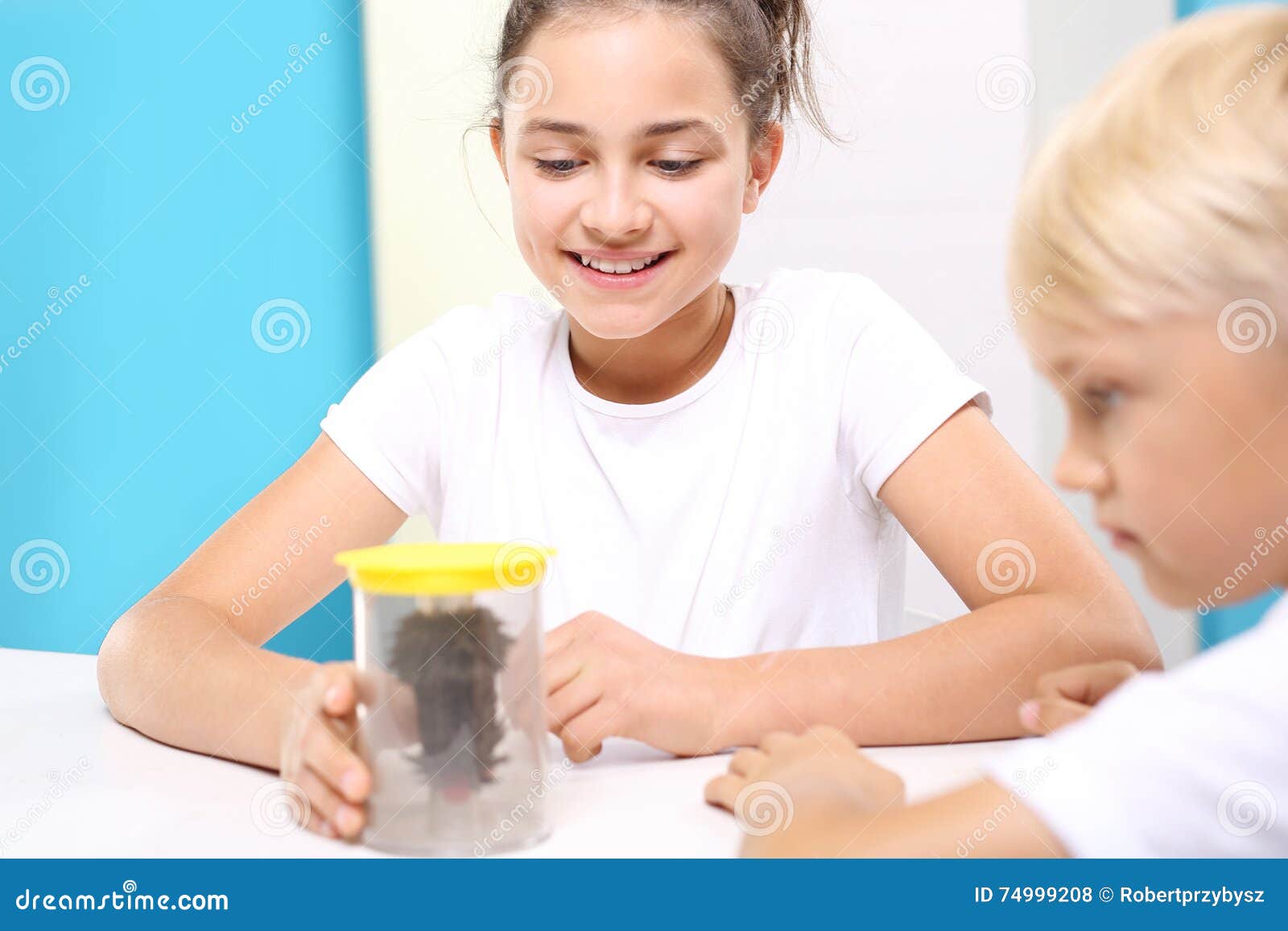 Physical experiment. stock photo. Image of magnetic, explorer - 74999208