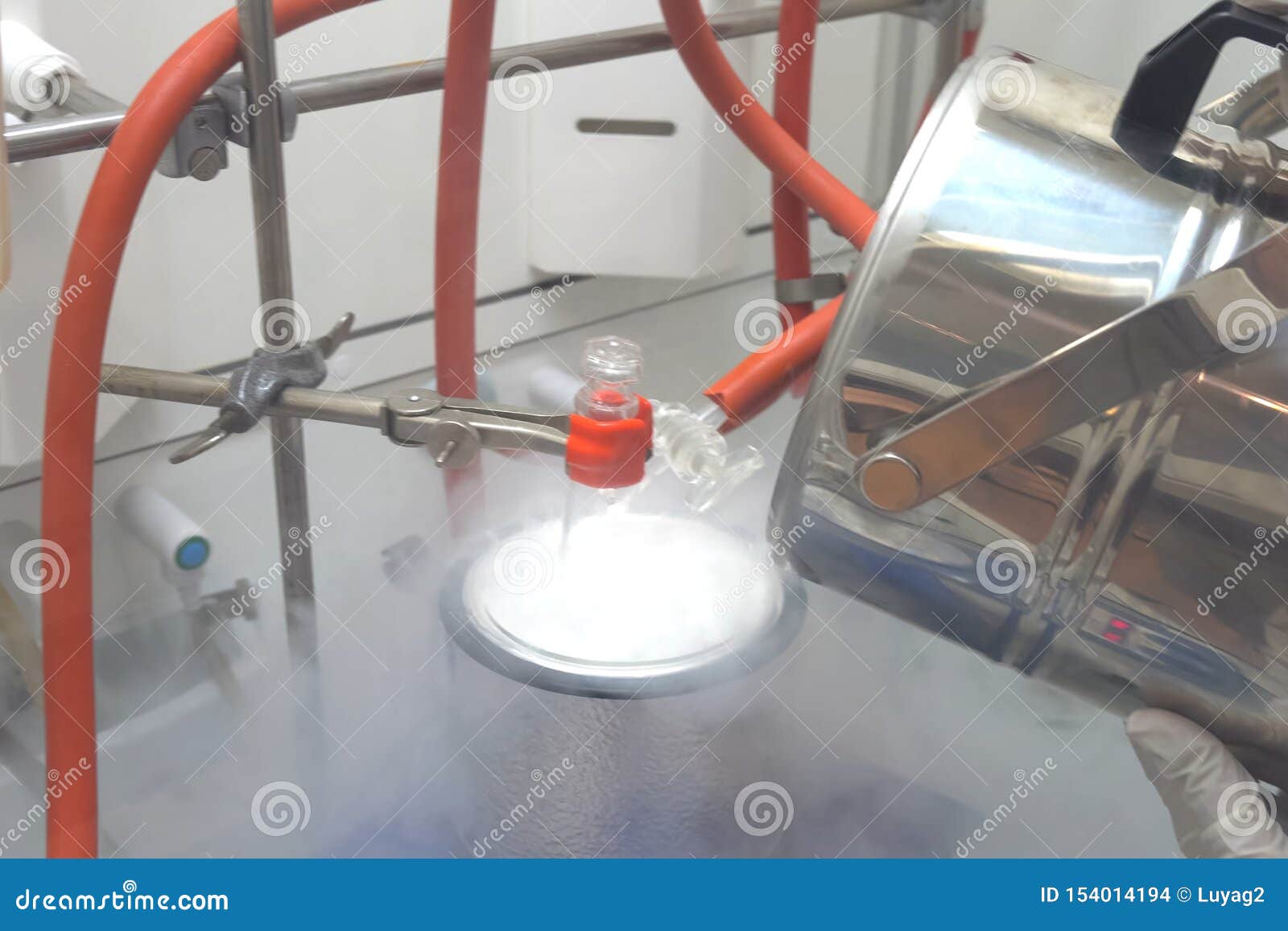 Physical Experiments with Liquid Nitrogen Stock Photo - Image of ...