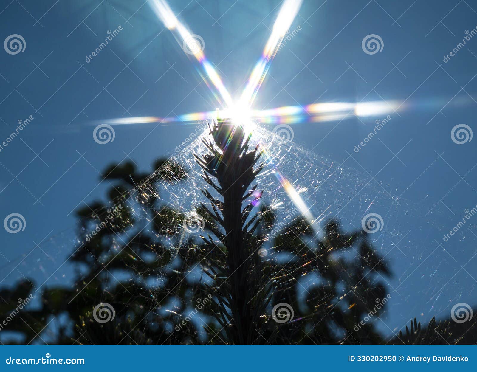 Physical Phenomena Created by the Sun and the Web Stock Photo - Image ...