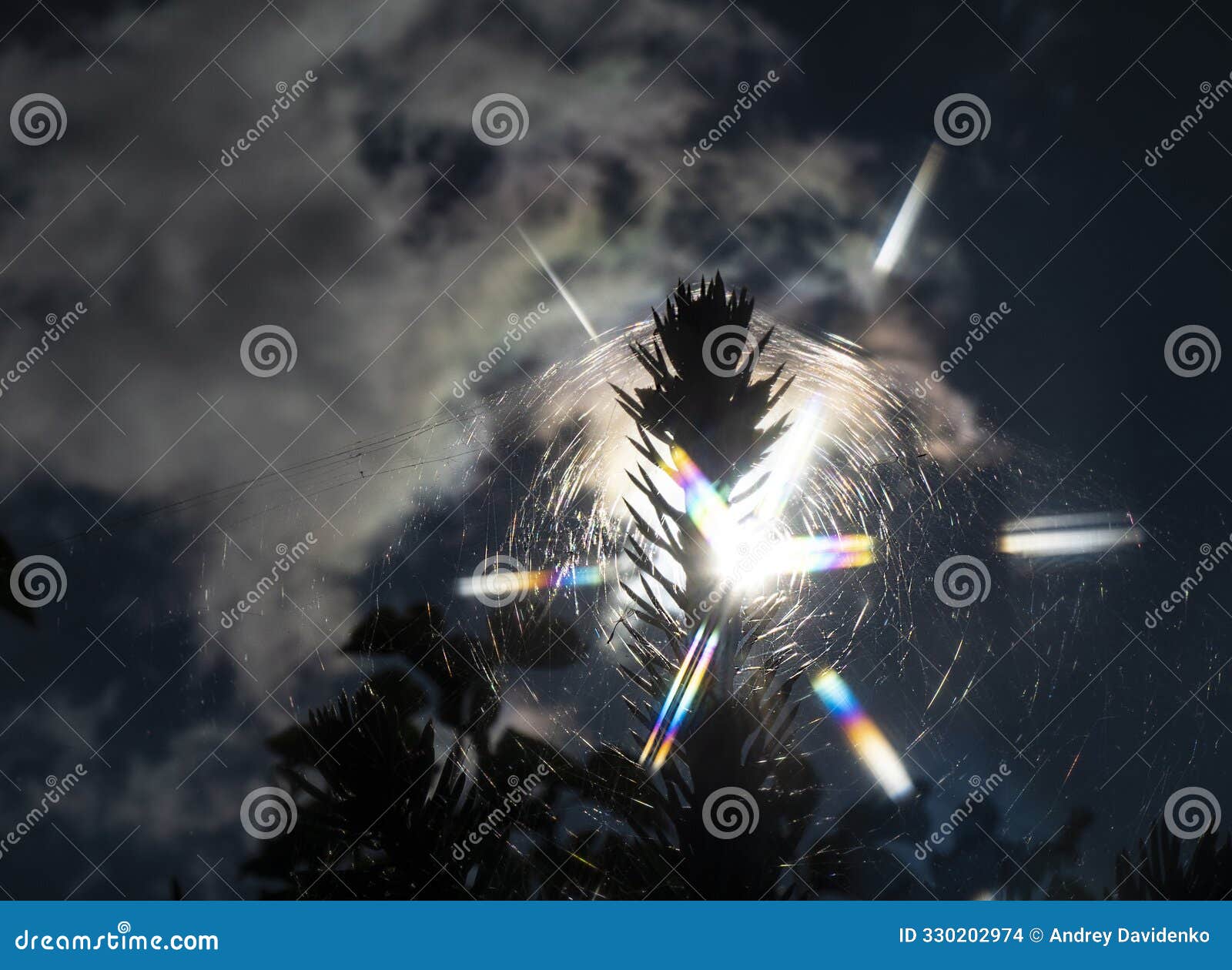 Physical Phenomena Created by the Sun and the Web Stock Photo - Image ...