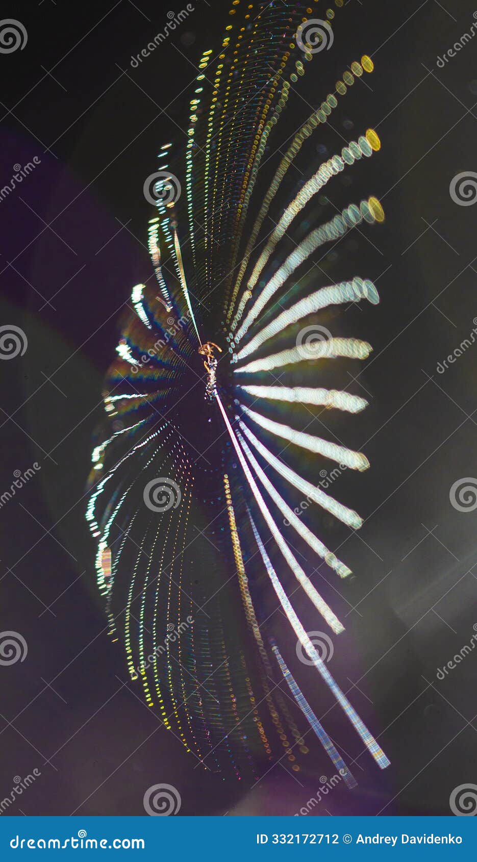 Physical Phenomena Created by Sunlight and a Spider Web Stock Photo ...