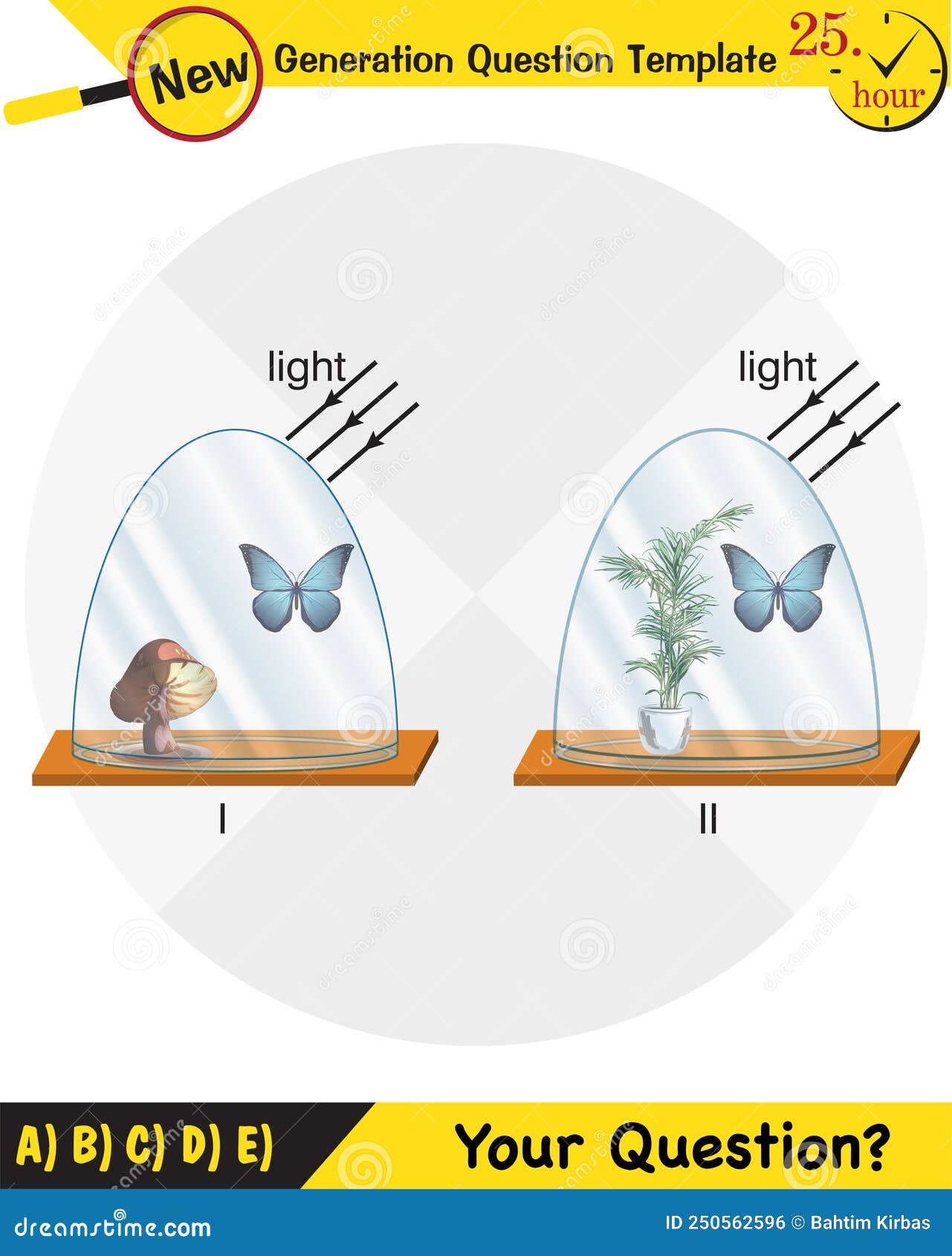 Physics, Joseph Priestley`s Experiment, Photosynthesis Phenomenon Of ... Physics, Joseph Priestley`s Experiment, Photosynthesis Phenomenon Of ...