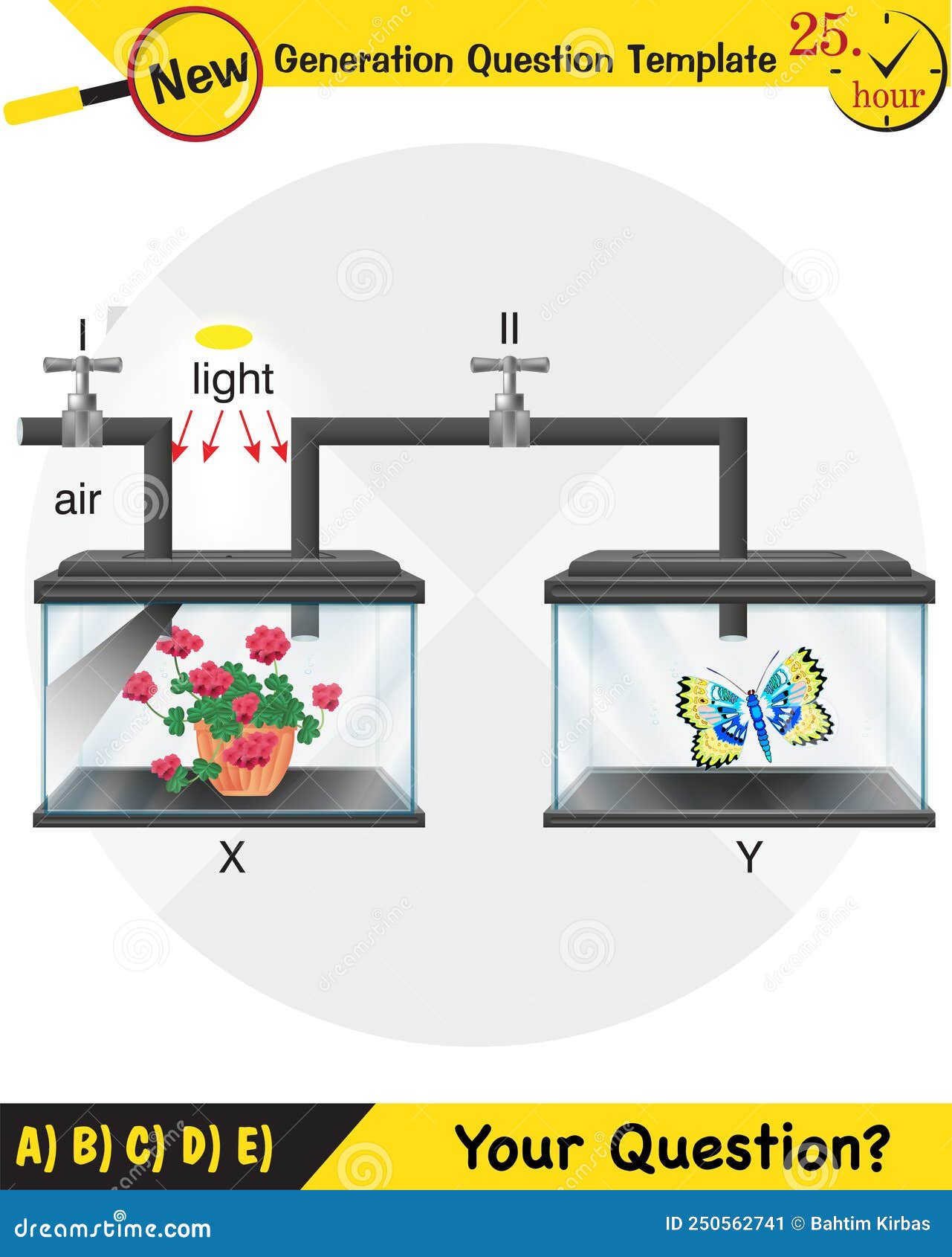 Physics, Joseph Priestley`s Experiment, Photosynthesis Phenomenon Of ... Physics, Joseph Priestley`s Experiment, Photosynthesis Phenomenon Of ...