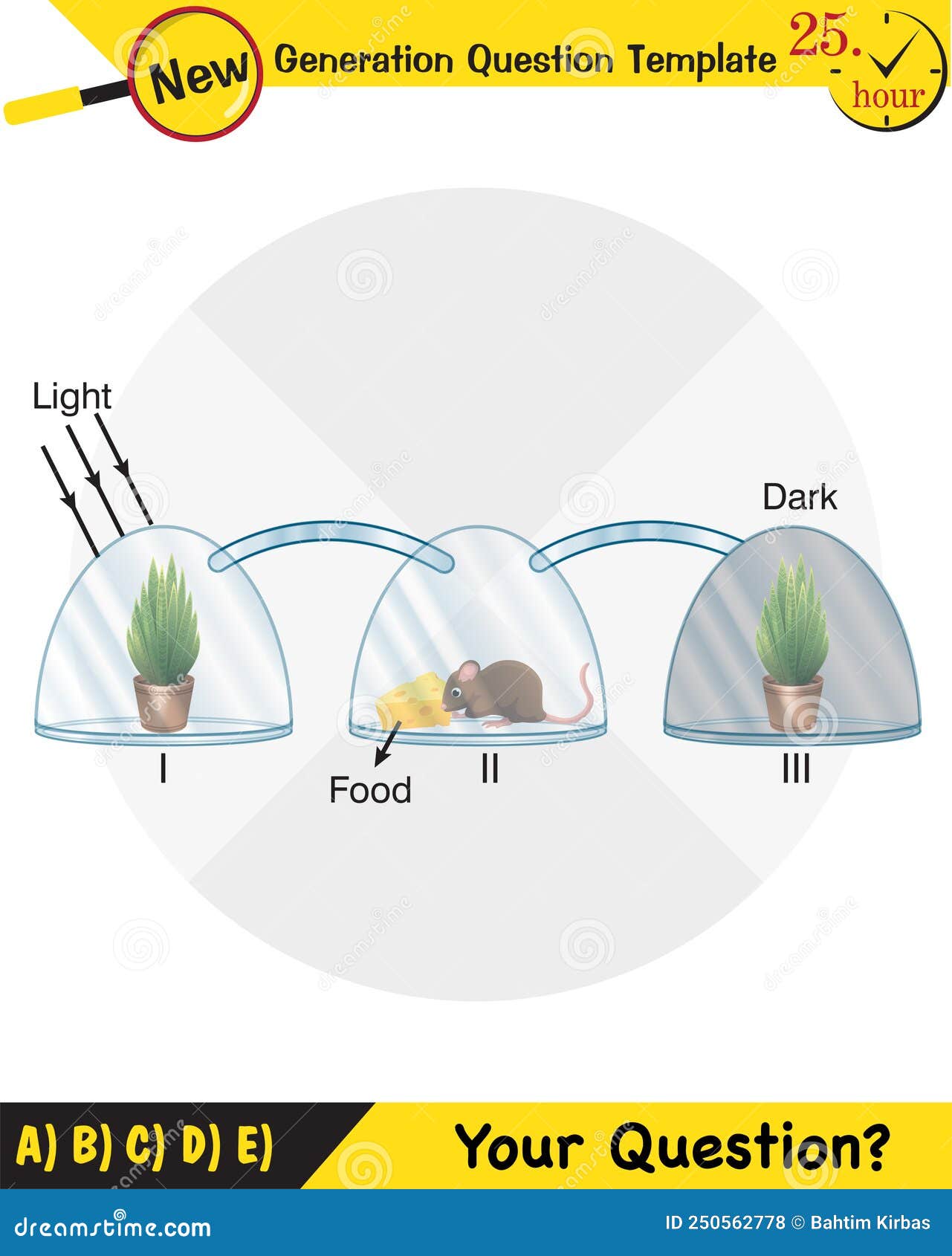 Physics, Joseph Priestley`s Experiment, Photosynthesis Phenomenon Of ... Physics, Joseph Priestley`s Experiment, Photosynthesis Phenomenon Of ...