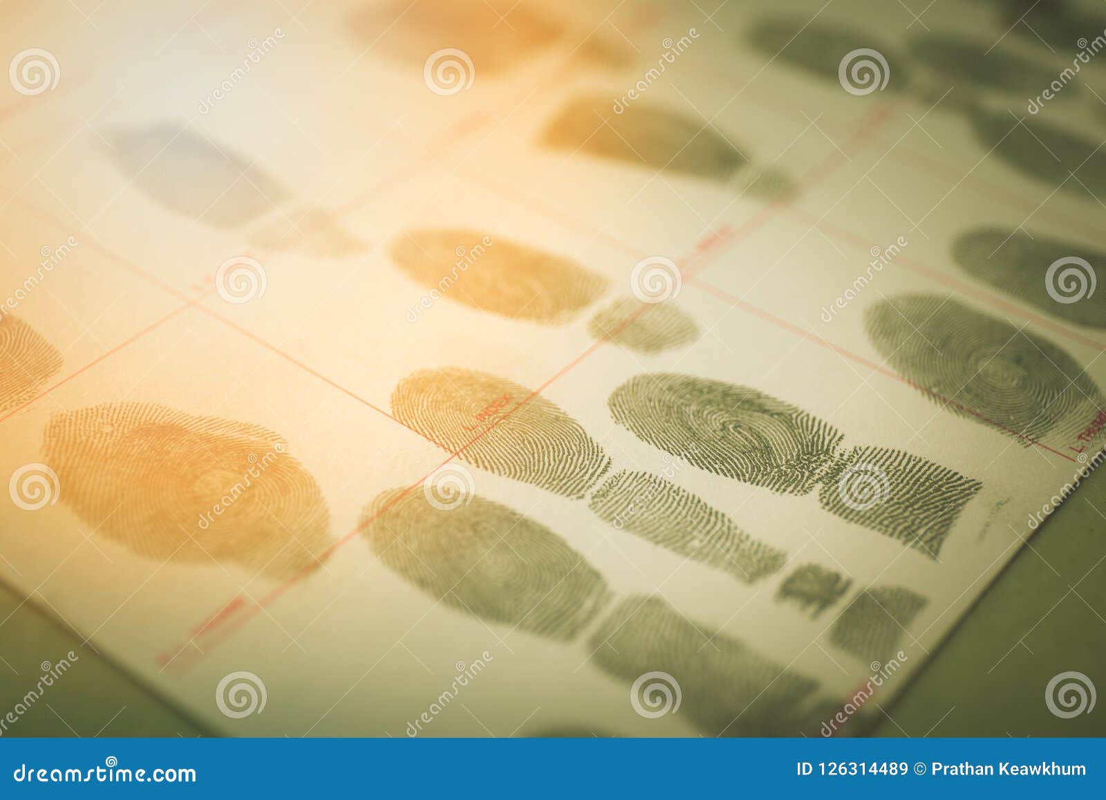 Physiological Biometrics Concept for Criminal Record by Fingerprint in ...