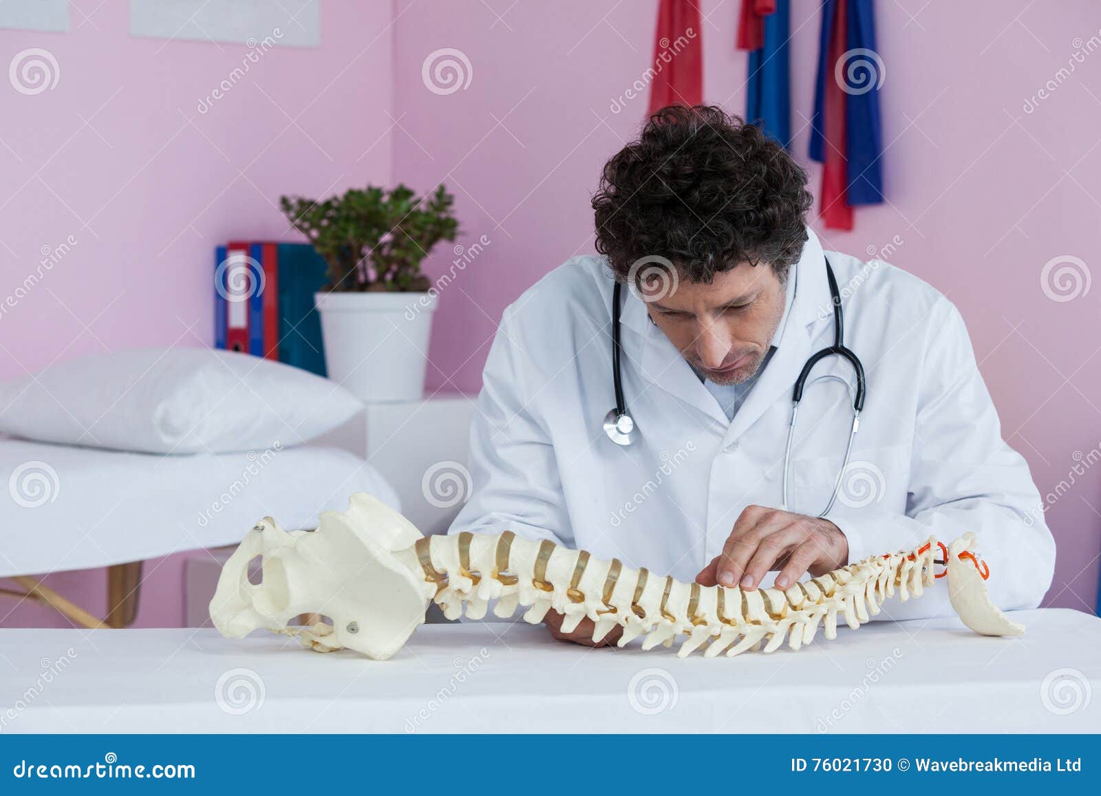 Physiotherapist Examining a Spine Model Stock Photo - Image of doctor ...