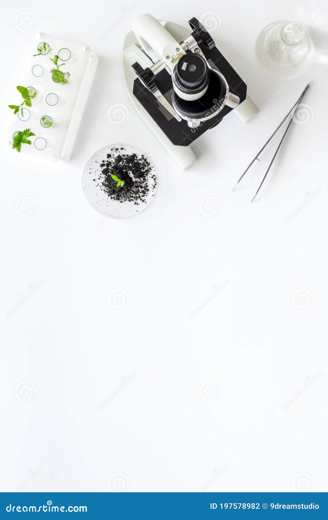 Phytopathological Examining Soil and Plants with Microscope in Lab ...