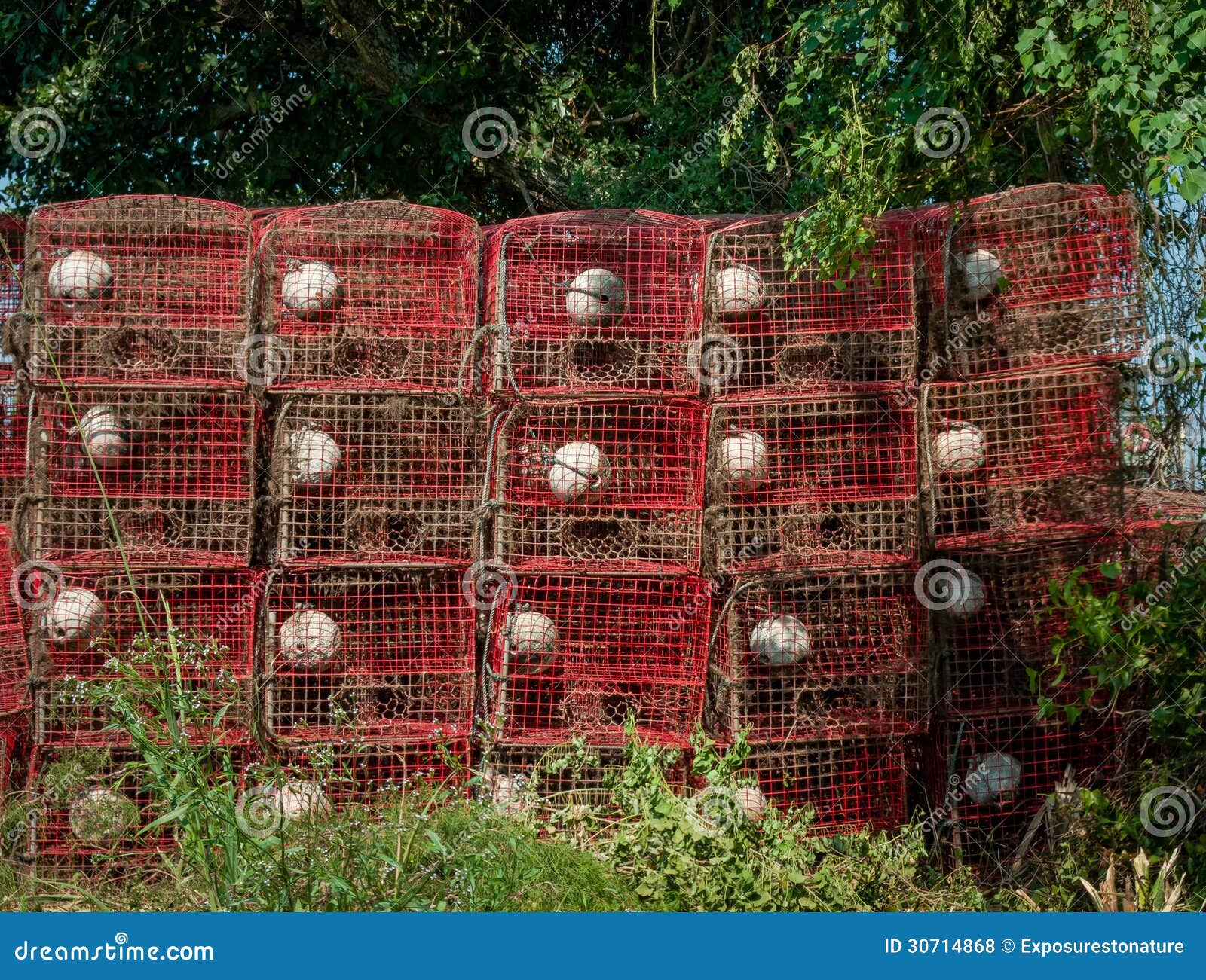 Pièges De Crabe De La Louisiane Photo stock - Image du côte, louisiane ...
