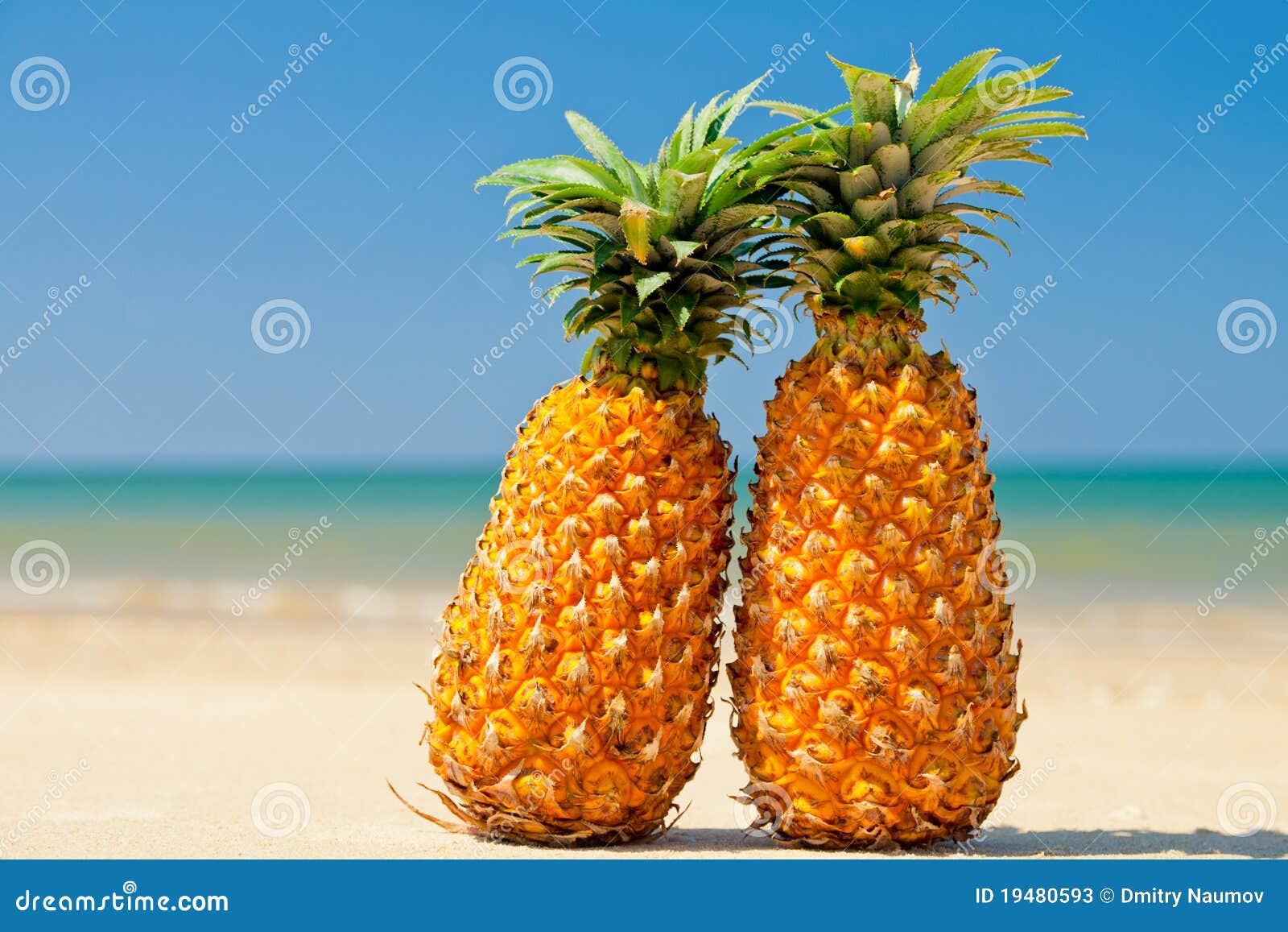 Piñas en la playa imagen de archivo. Imagen de vitamina - 19480593