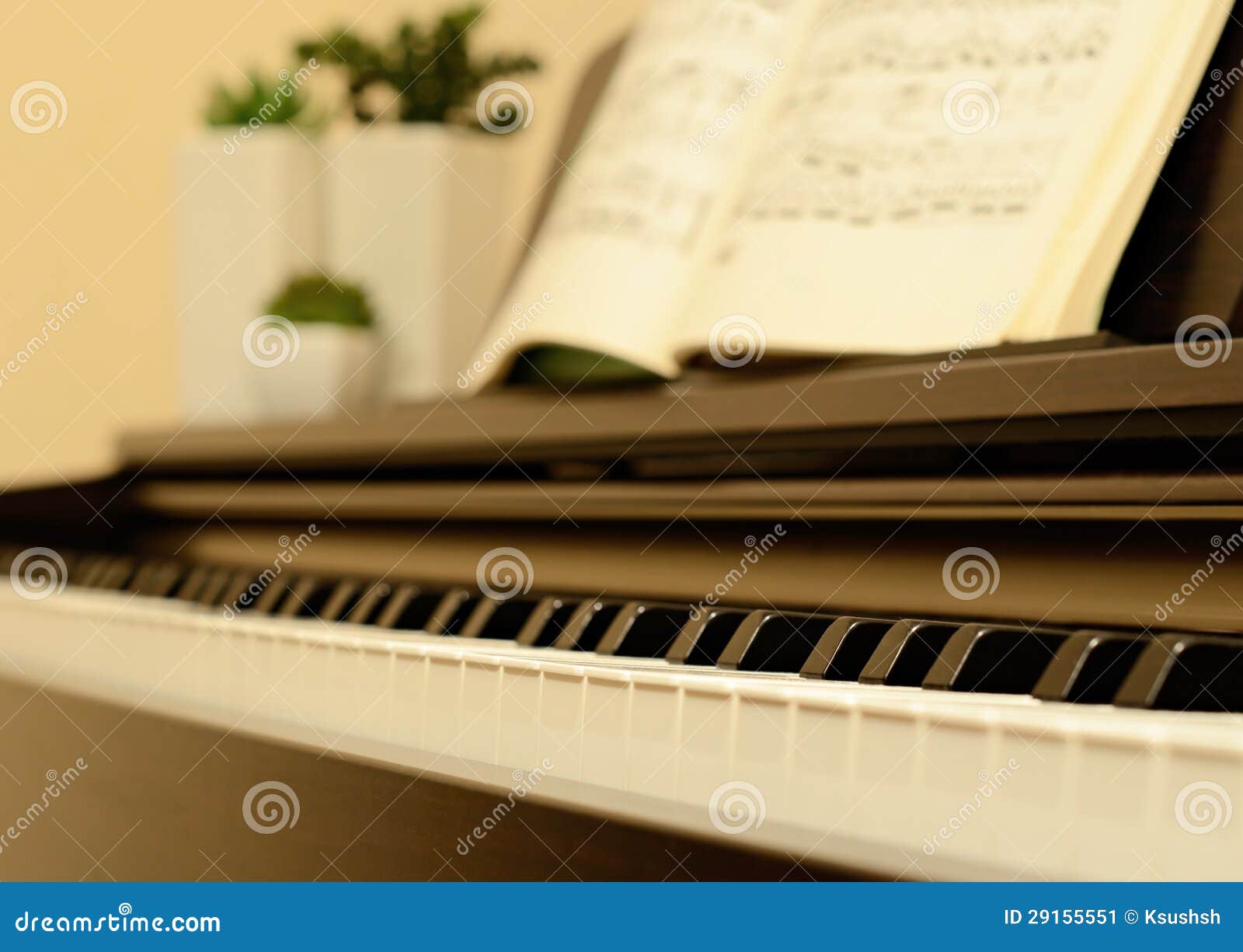 Piano stock image. Image of black, keys, keyboard, closeup - 29155551
