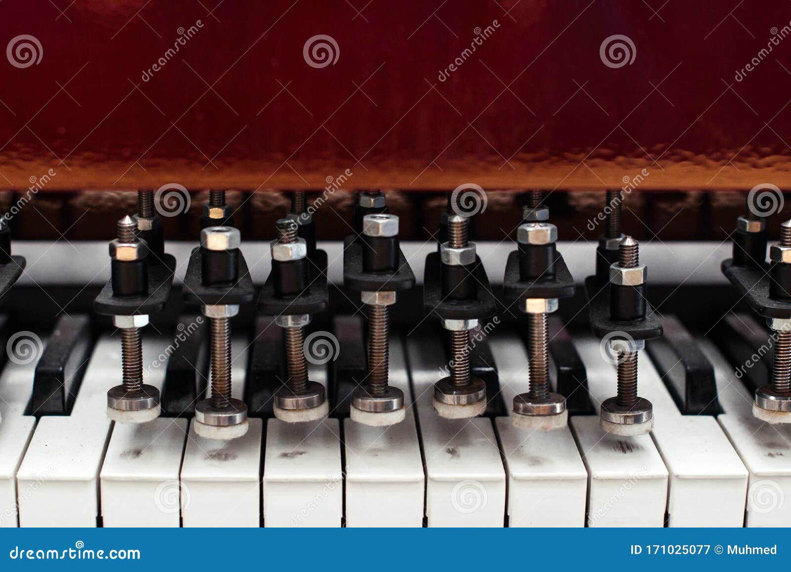 Piano Construction. Piano Various Internal Details. Piano Keys Stock ...