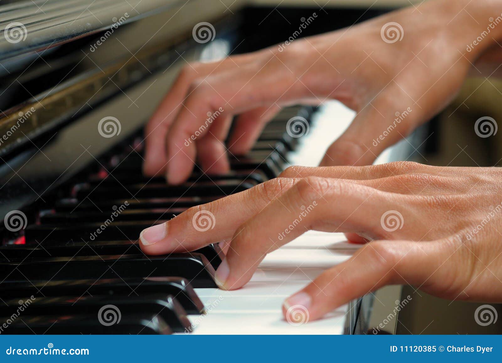 Piano Fingers stock image. Image of hand, fingers, pianet - 11120385