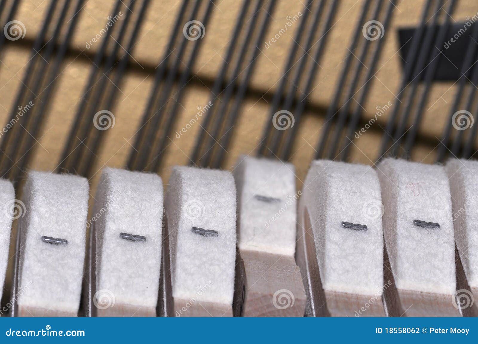 Piano hammers on strings stock photo. Image of acoustically - 18558062