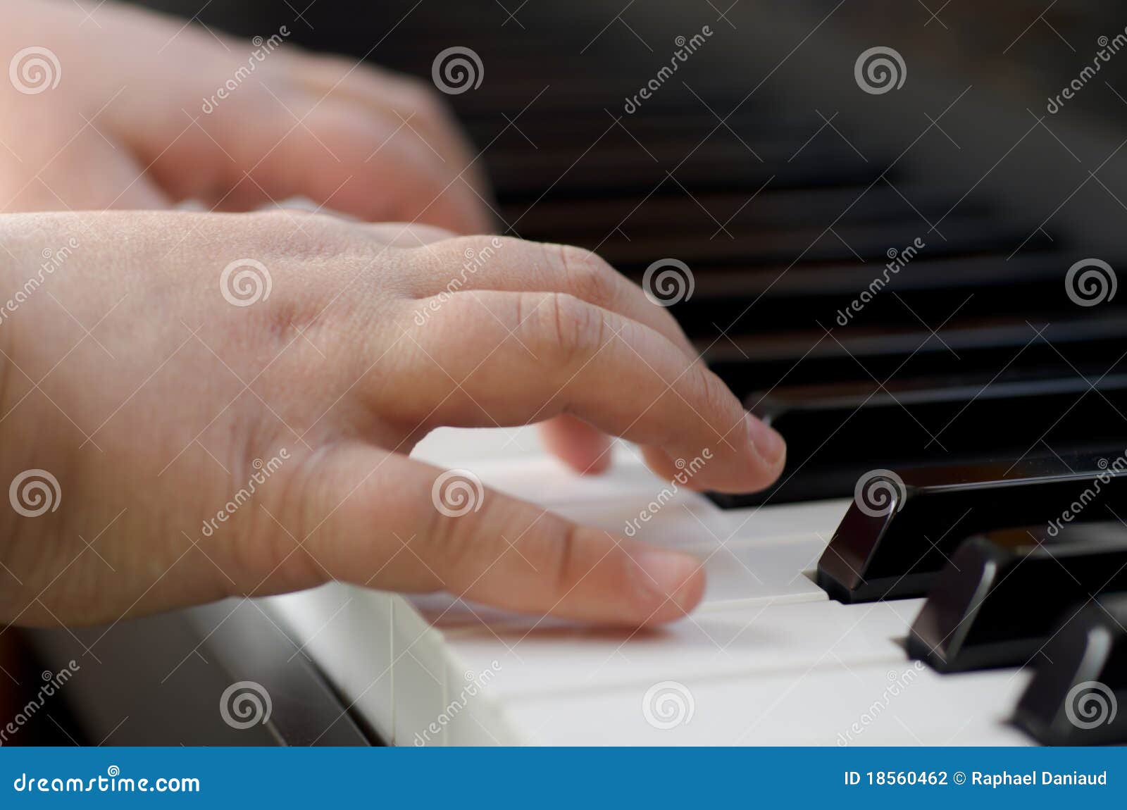 Piano and hands stock photo. Image of musician, young - 18560462
