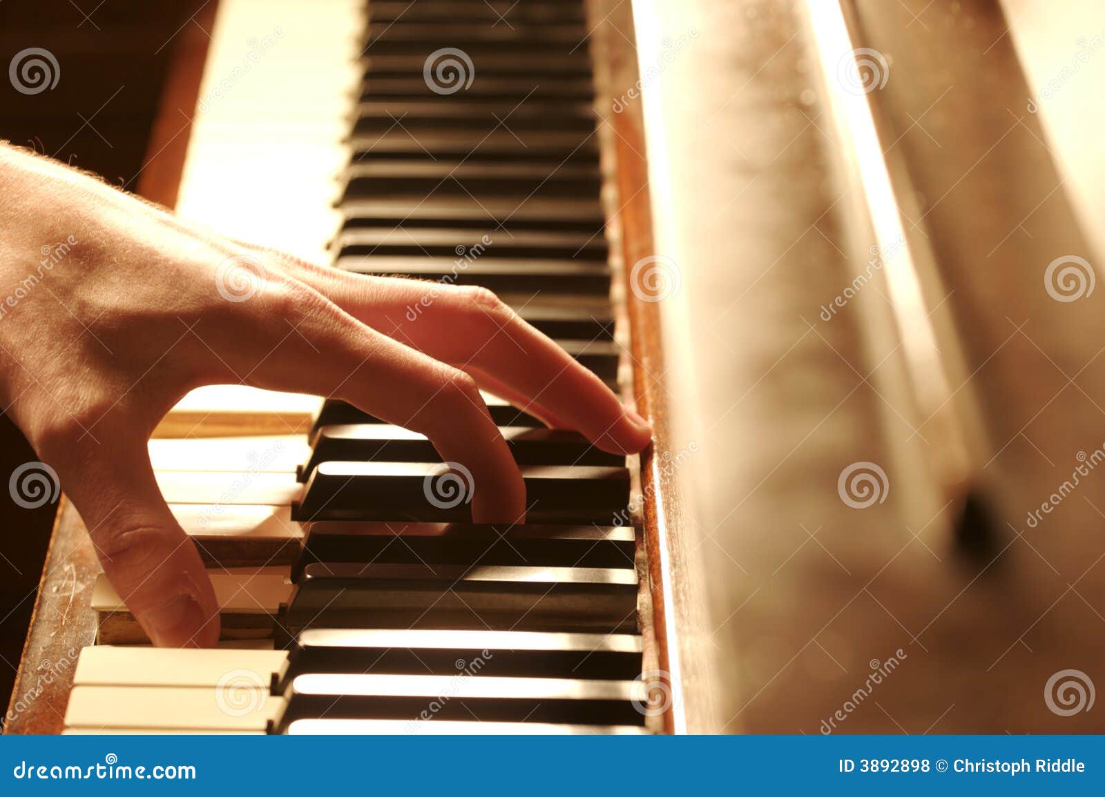 Piano Hands stock photo. Image of fingers, musical, entertainer - 3892898