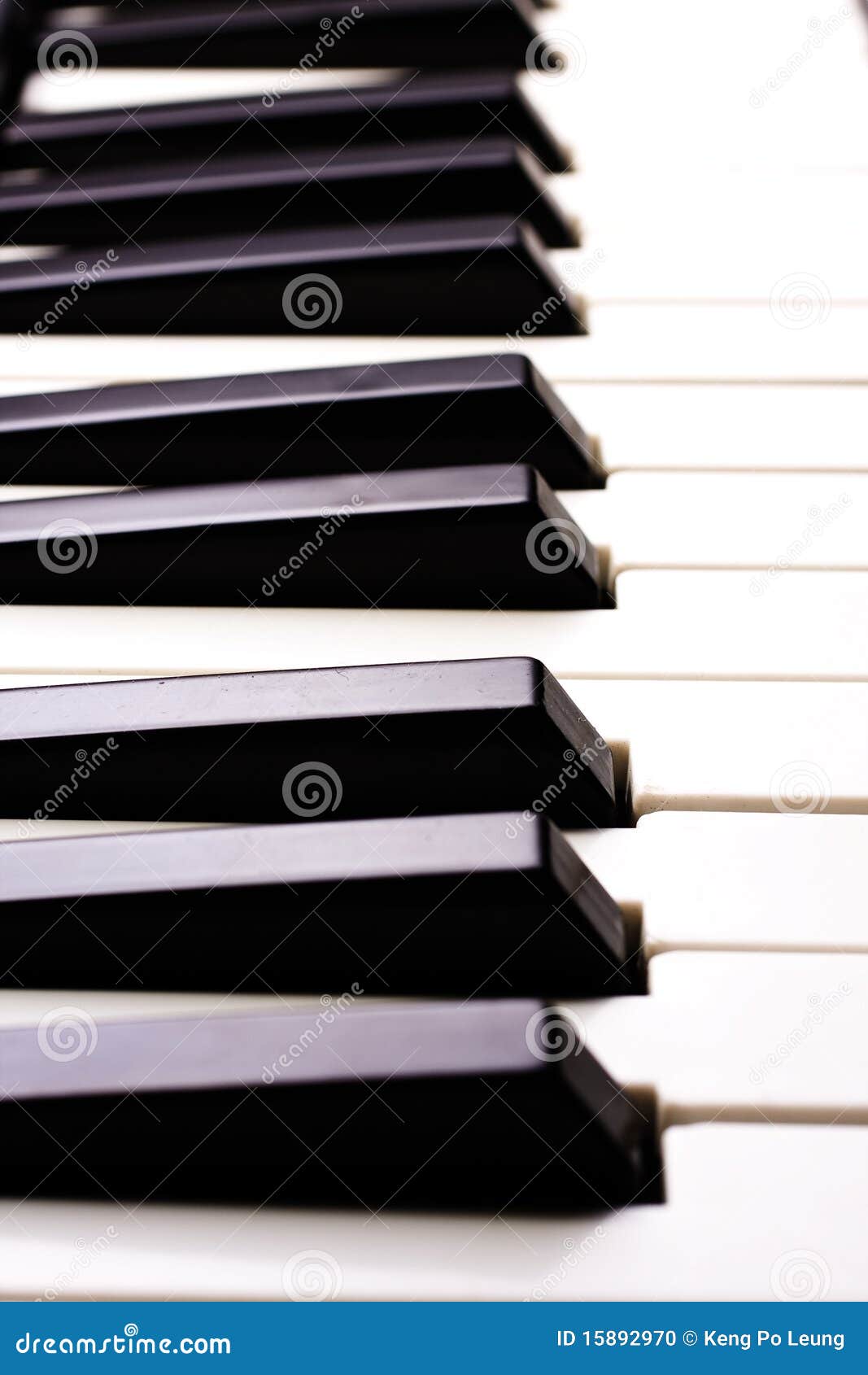 Piano Key close up shot stock photo. Image of entertainment - 15892970