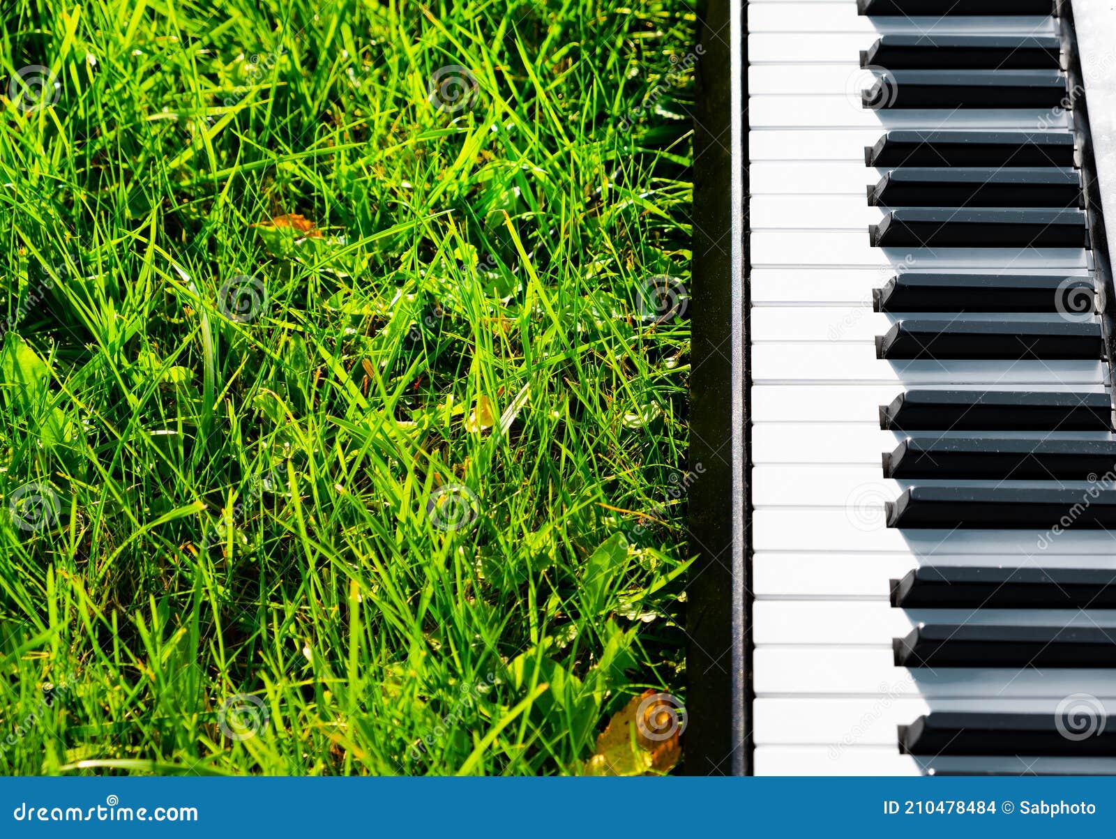 Piano Keyboard outdoor stock photo. Image of outside - 210478484