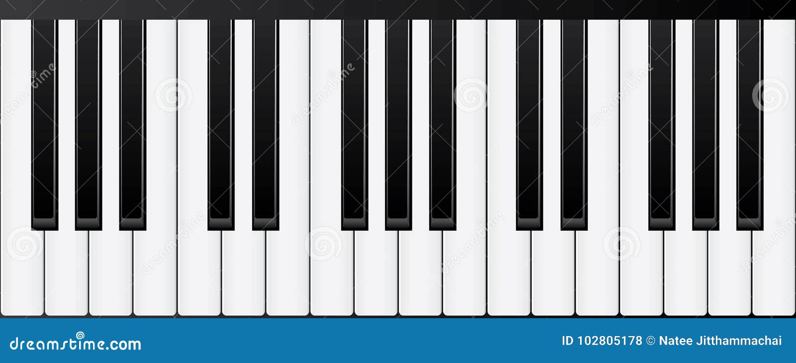 Piano Keyboards Vector. Isolated Illustration. Top View Keyboard Pad ...