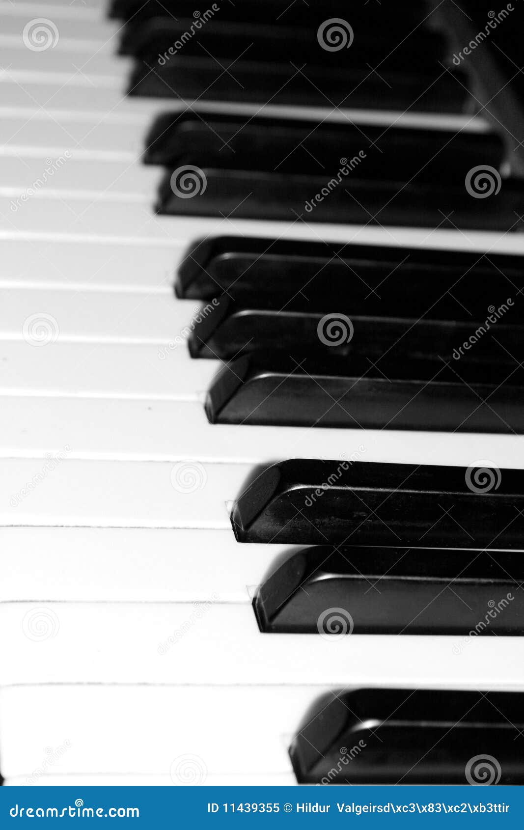 Piano keys stock image. Image of white, classic, classical - 11439355