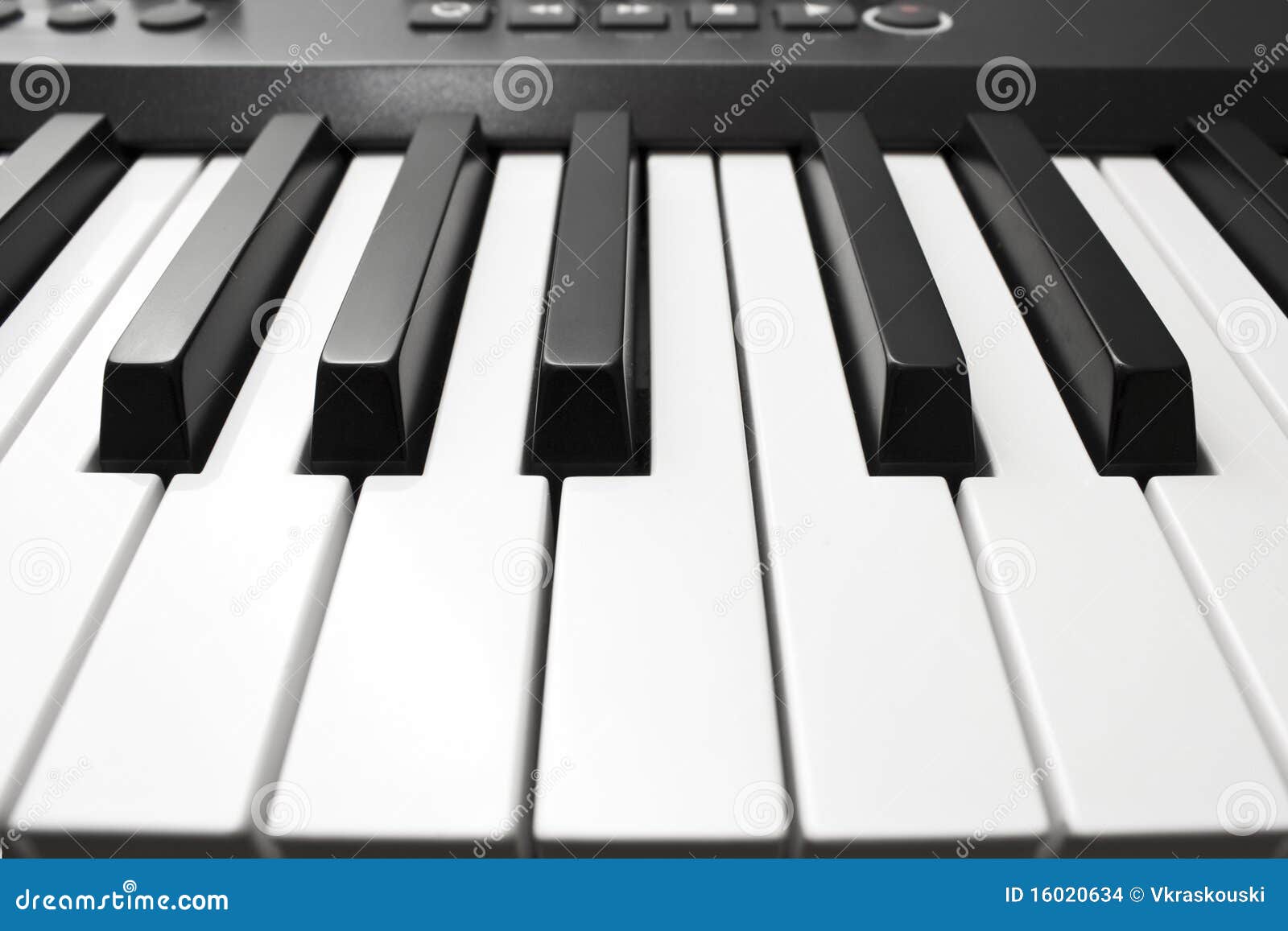 Piano keys stock photo. Image of design, light, musician - 16020634