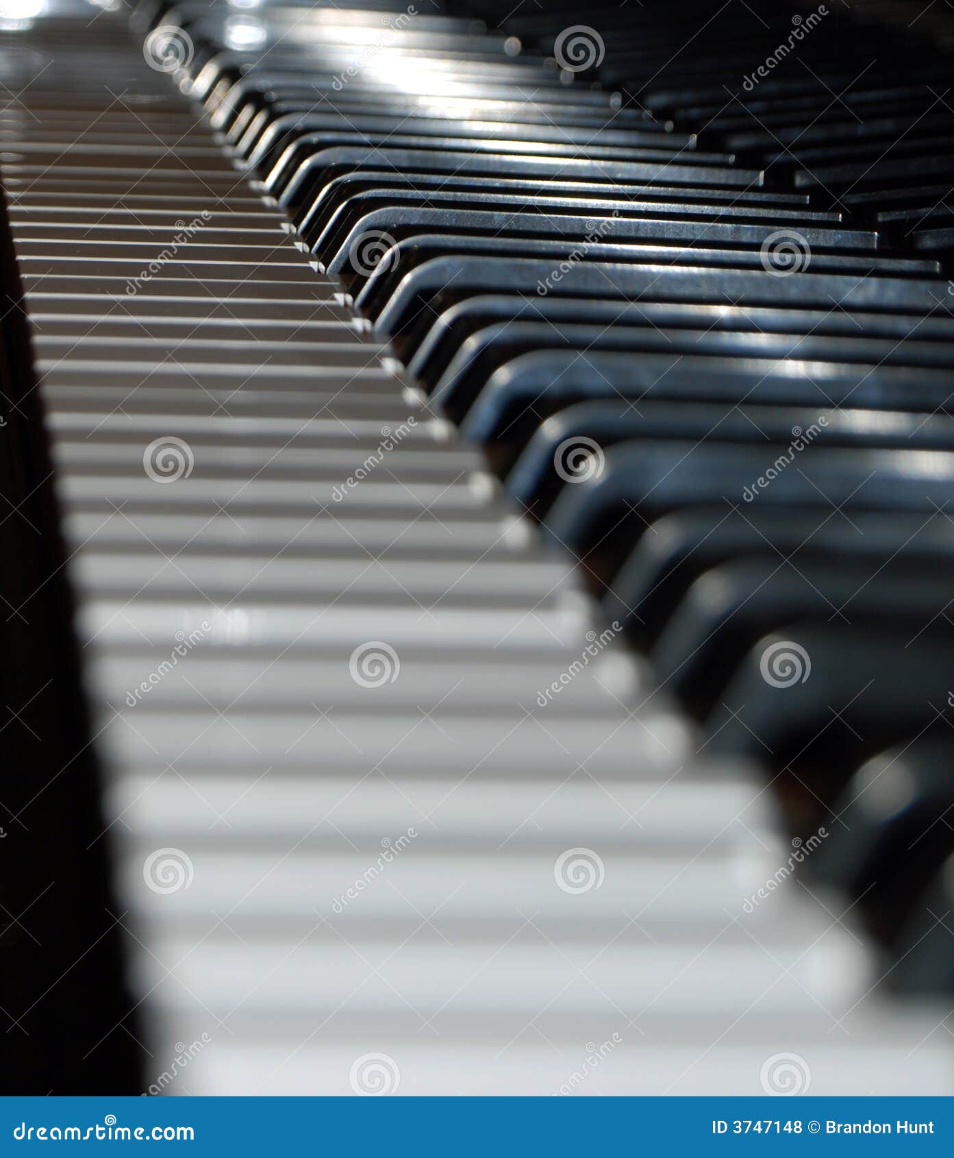 Piano Keys stock photo. Image of closeup, ivory, grand - 3747148
