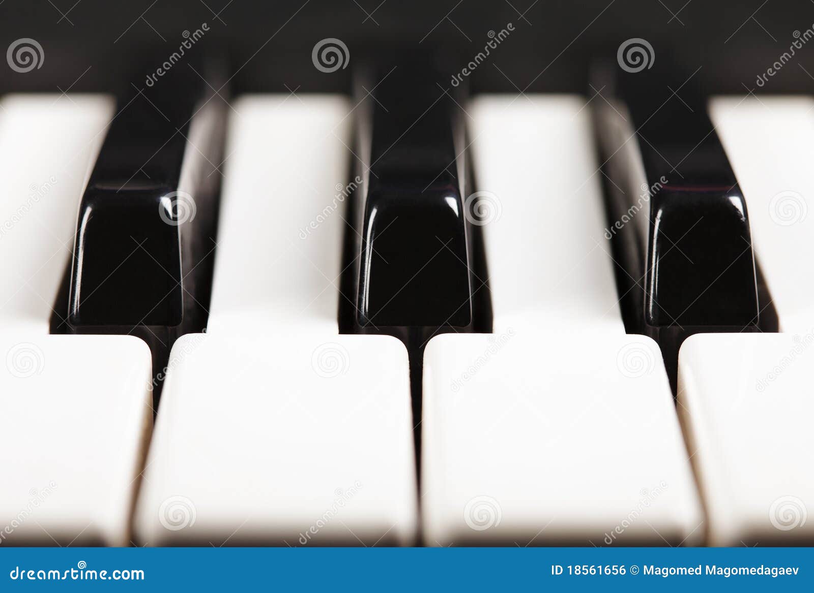 Piano keys front view stock photo. Image of white, musical - 18561656
