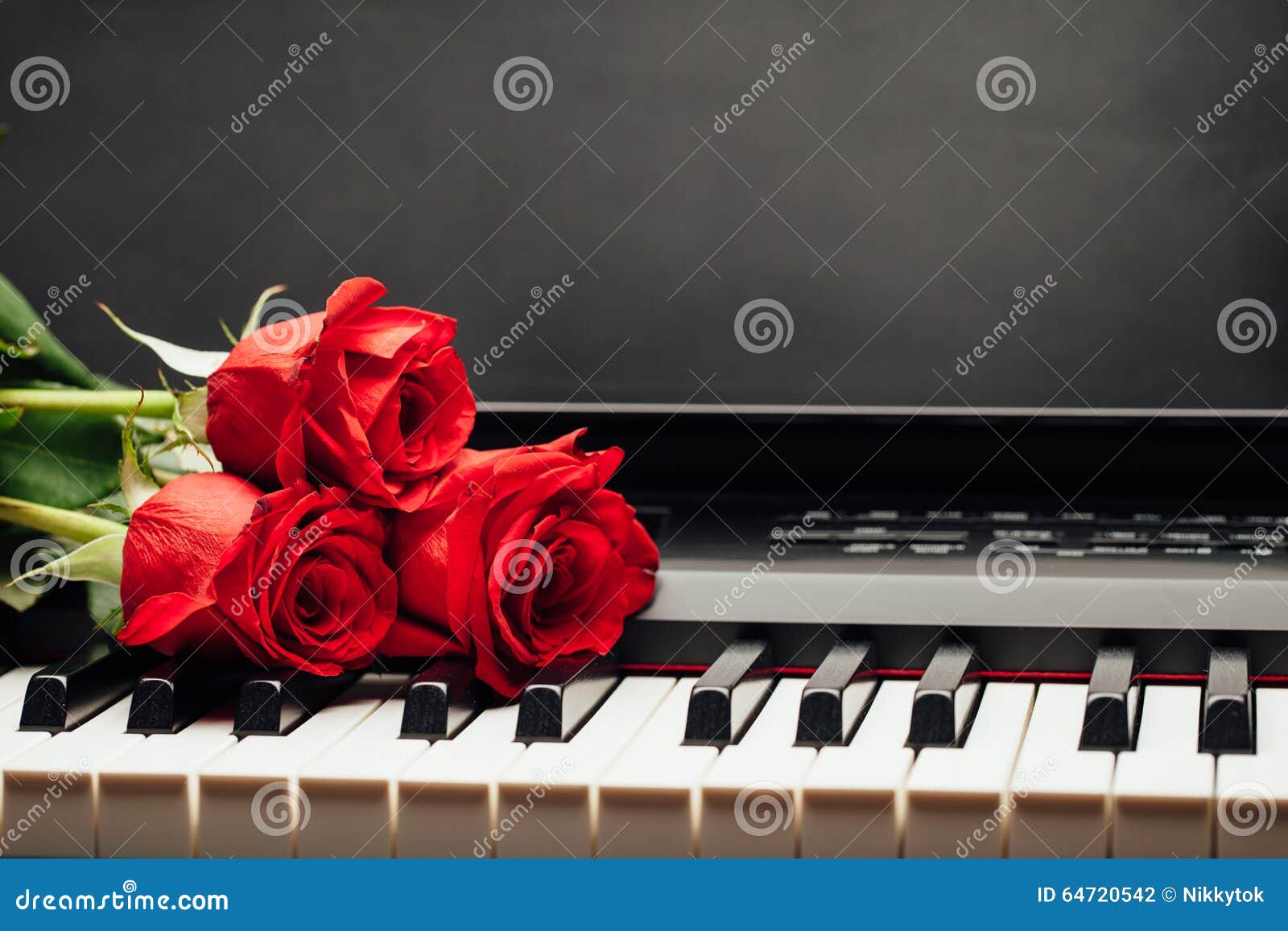 Red Rose Piano Keys