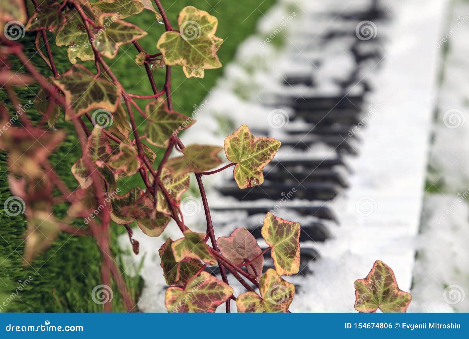 Piano Keys, in the Snow in Open Territory, Winter Music Stock Photo ...