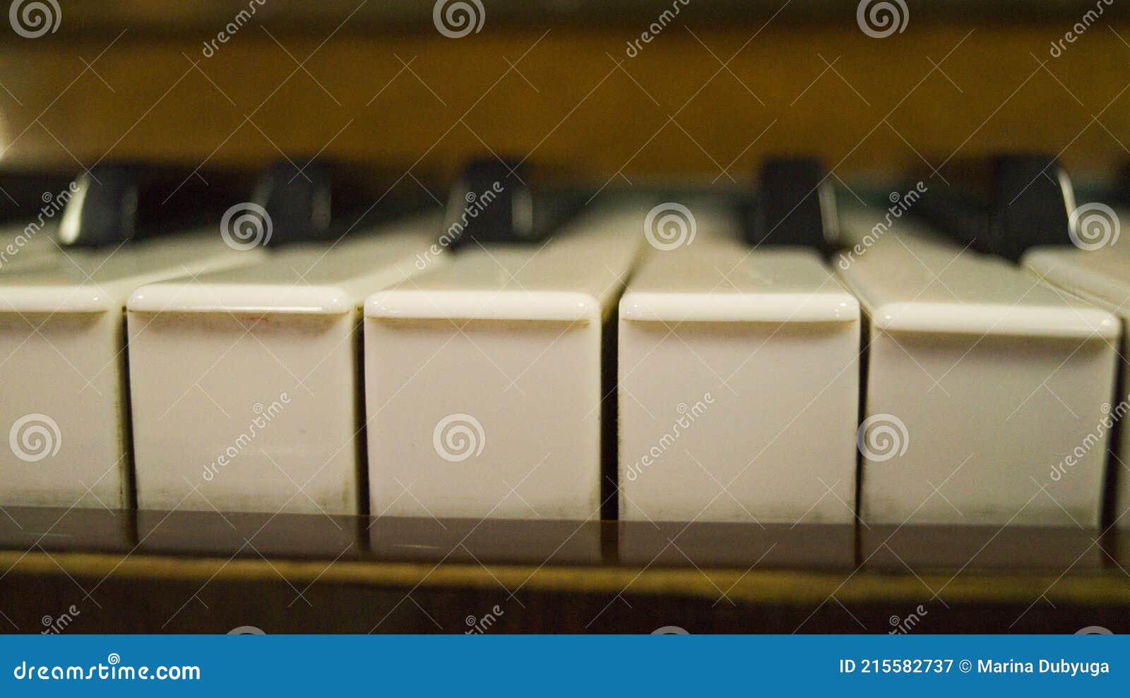 Piano Keys. View from an Angle. Musical Instrument Stock Image - Image ...